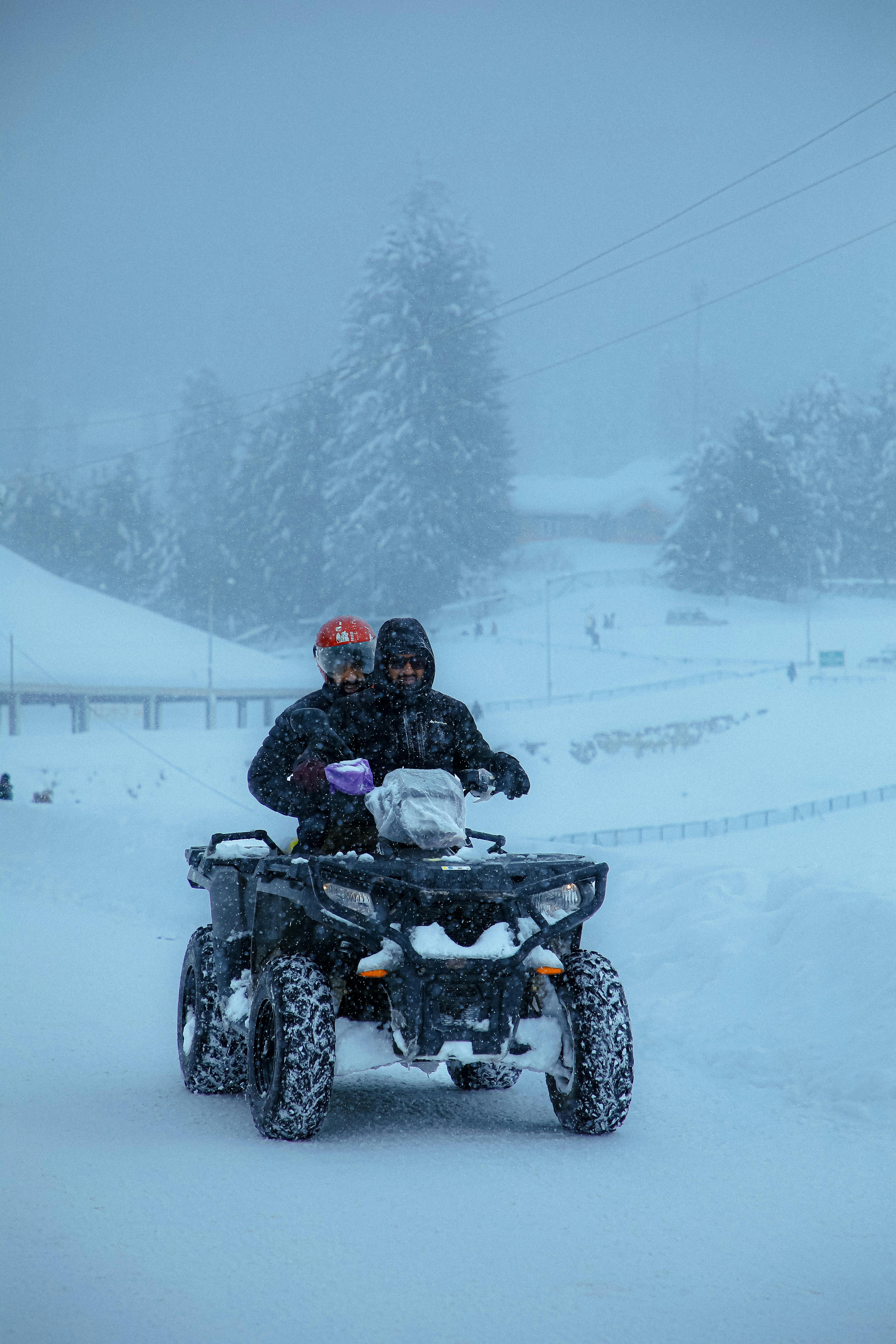 Tiger Atv Photos, Download The BEST Free Tiger Atv Stock Photos & HD Images