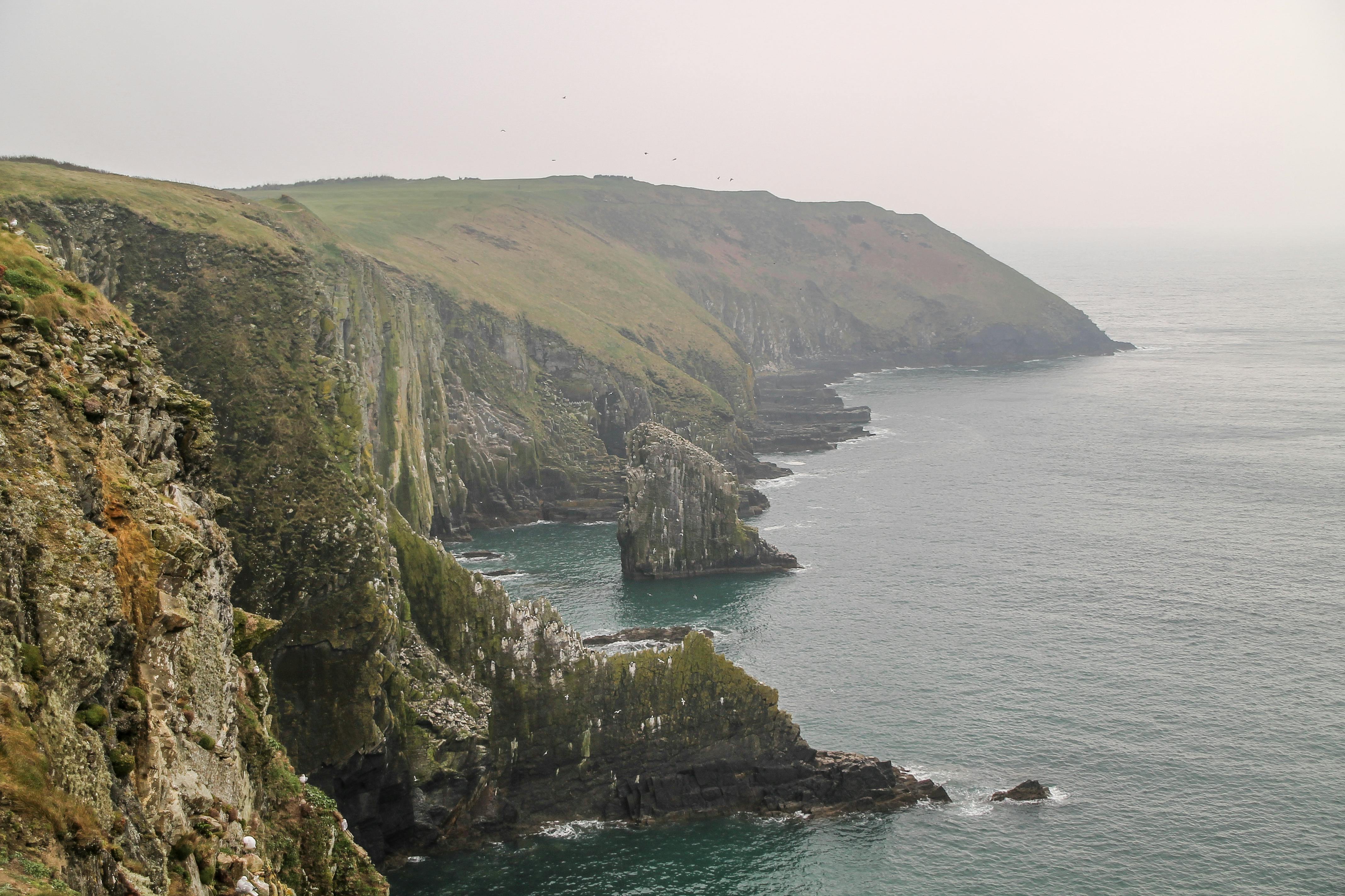 Free stock photo of cliff coast, Cliffs Old Head of Kinsale, cliffside