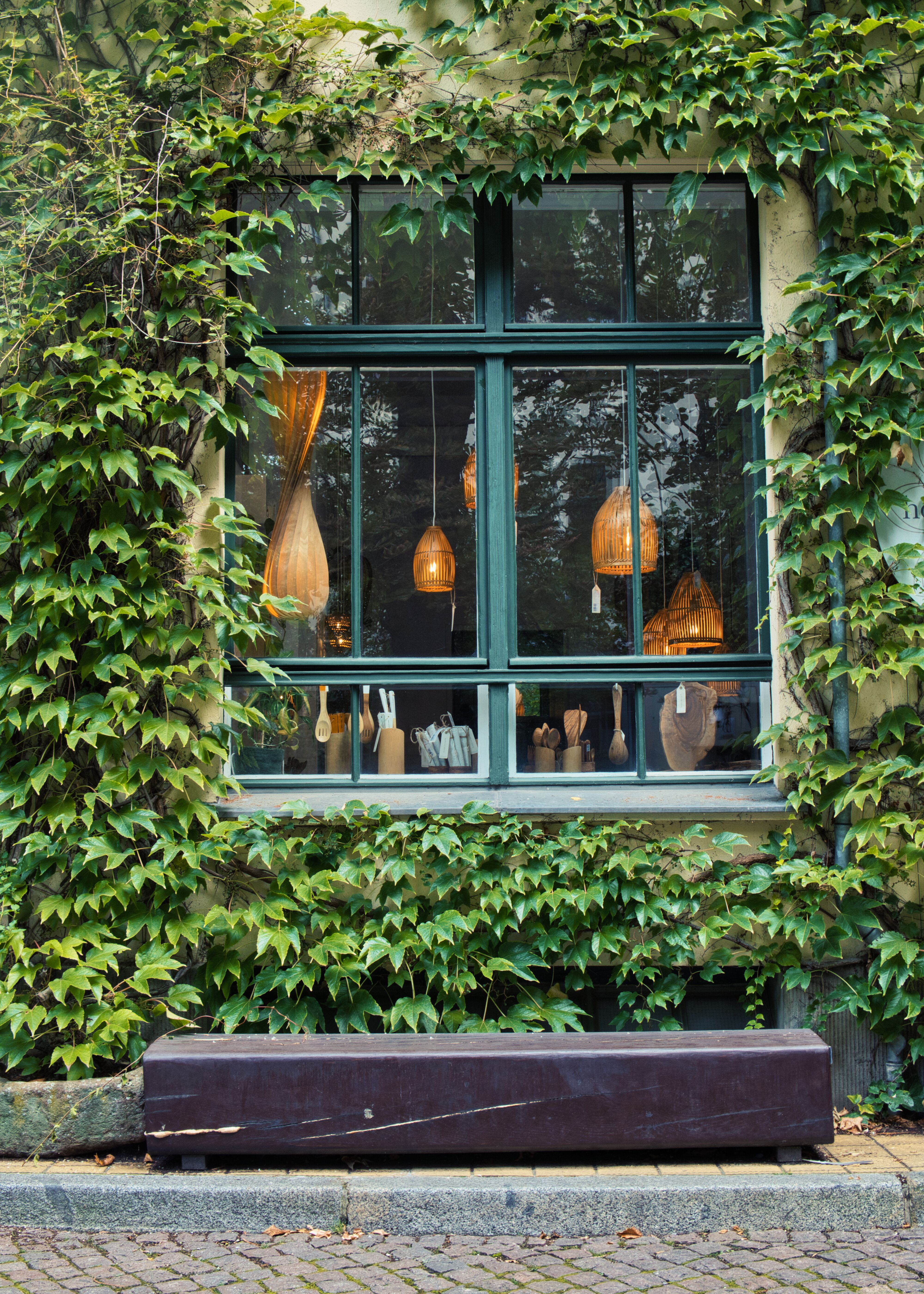Clinging Plant at Wall of Building at Hackescher Markt in Berlin ...