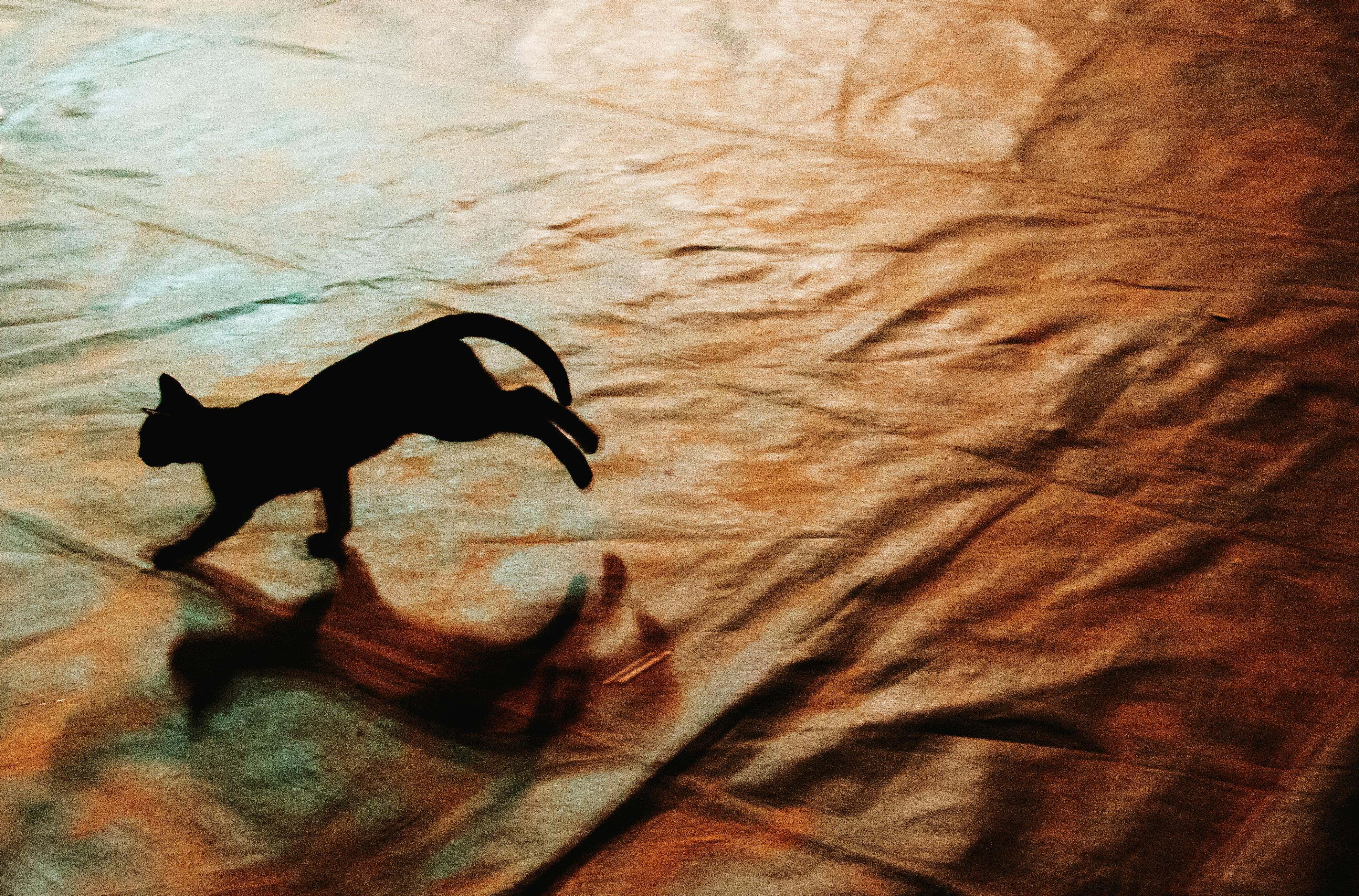 Escapar · Foto de stock gratuita