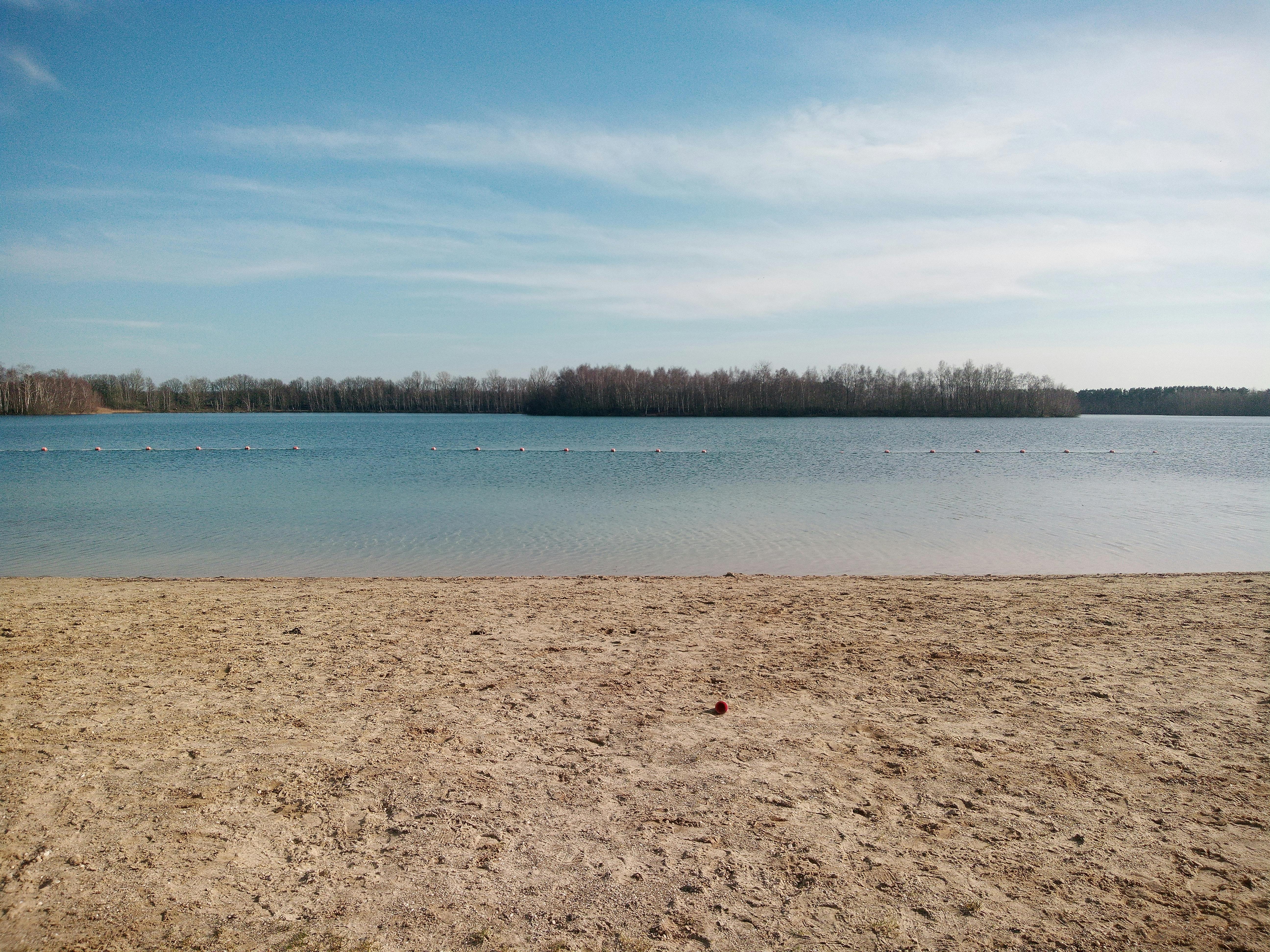 Empty Sand Beach in a Bay Surrounded by Trees · Free Stock Photo