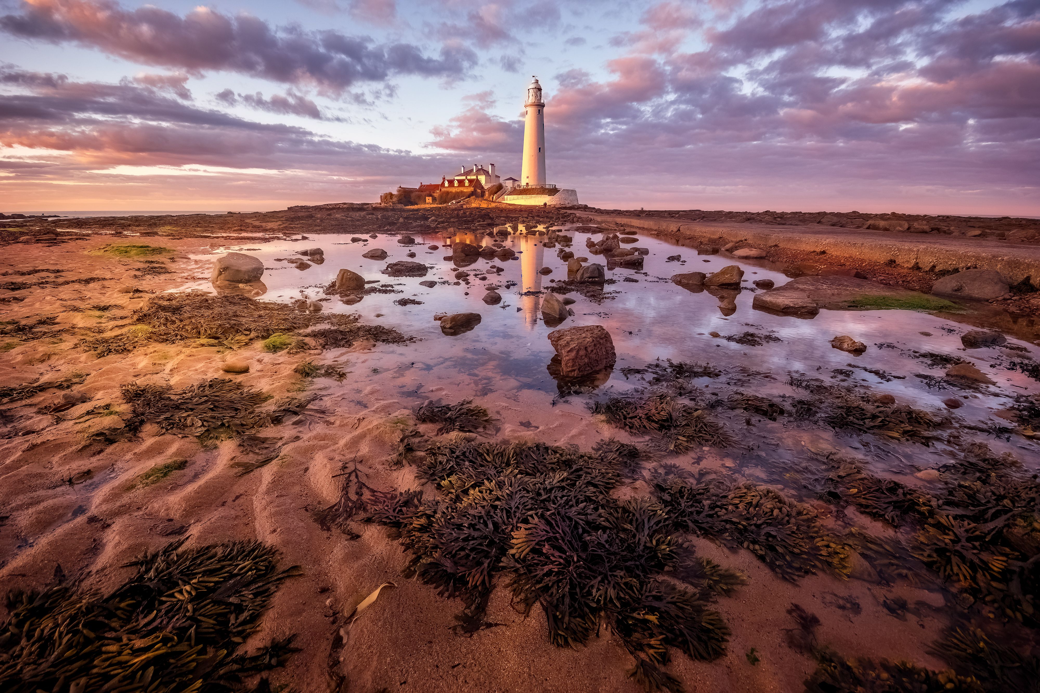 Foto de stock gratuita sobre costa, faro, faro de st marys, horizonte ...