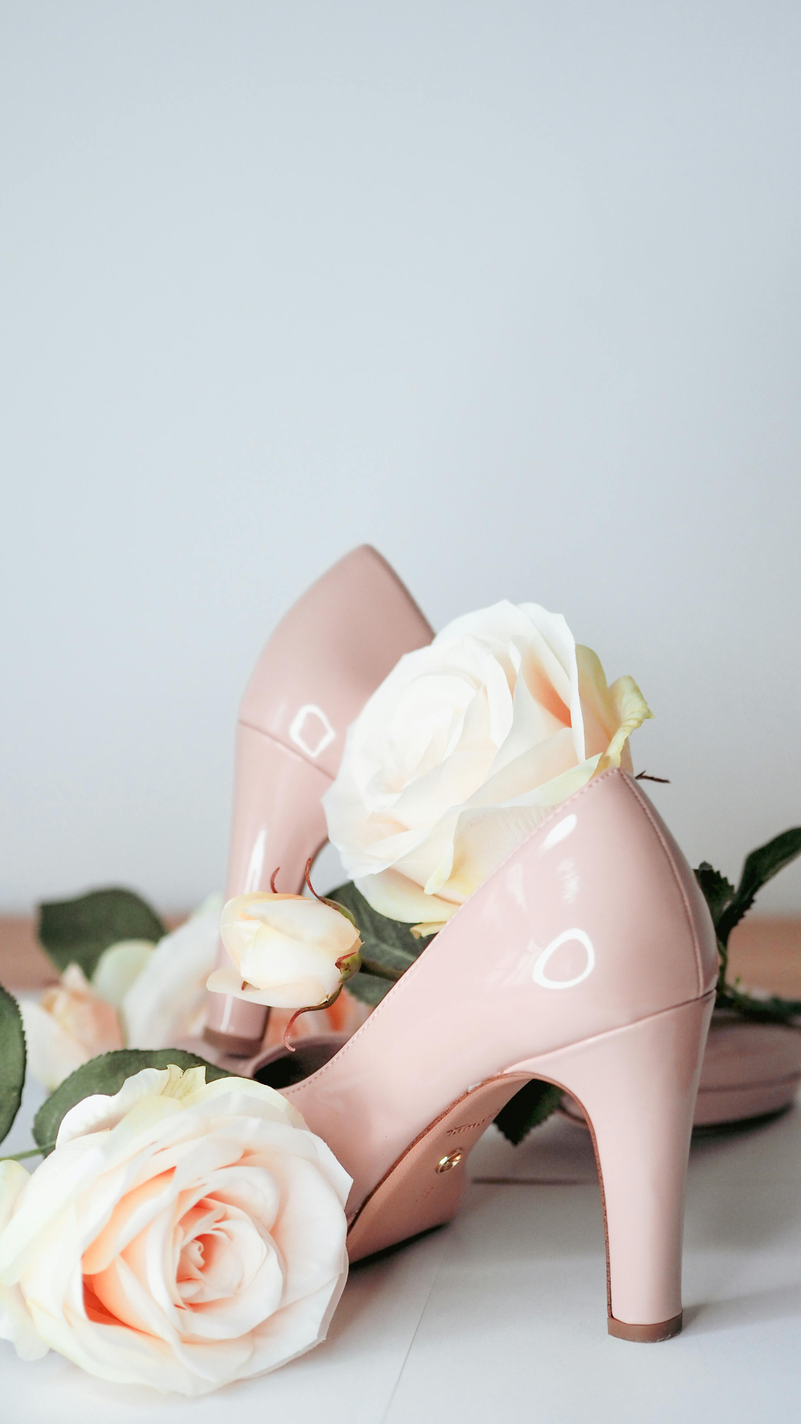 Kayak Roses Photos, Download The BEST Free Kayak Roses Stock Photos ...