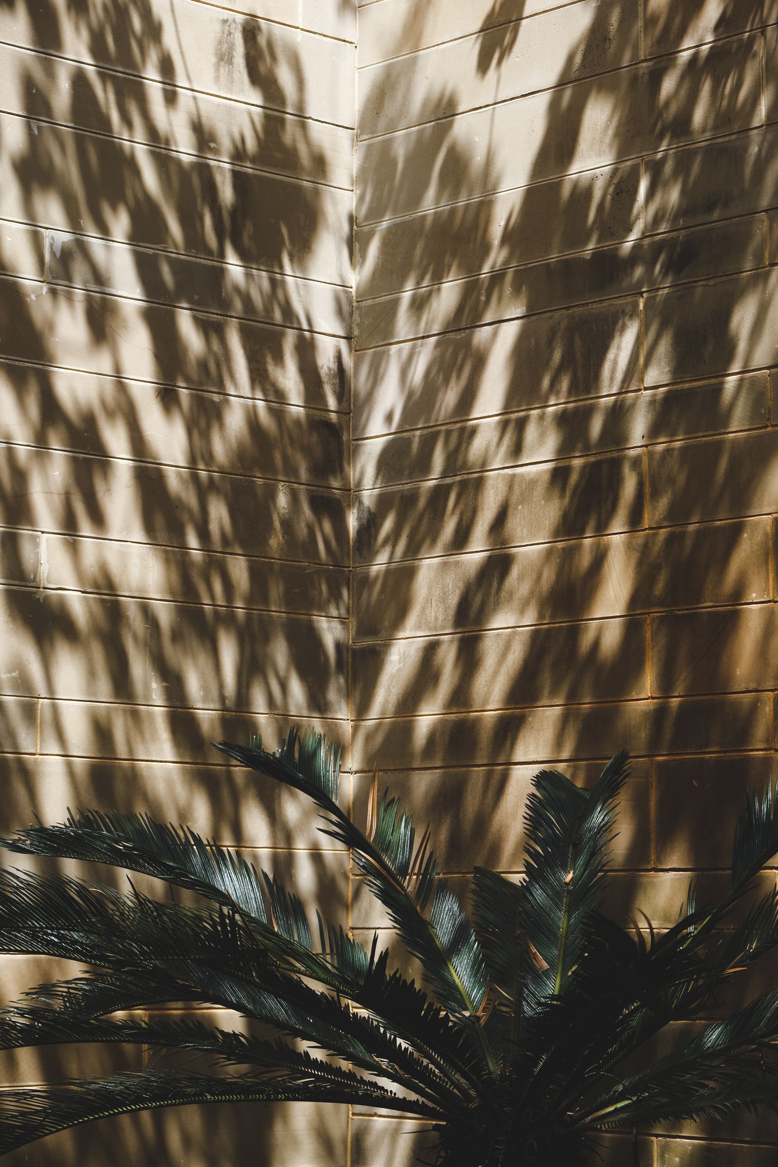 Wall Shadow Photos, Download The BEST Free Wall Shadow Stock Photos ...