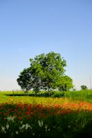 Free Stock Photos, Royalty Free Stock Images & Copyright Free Pictures ...