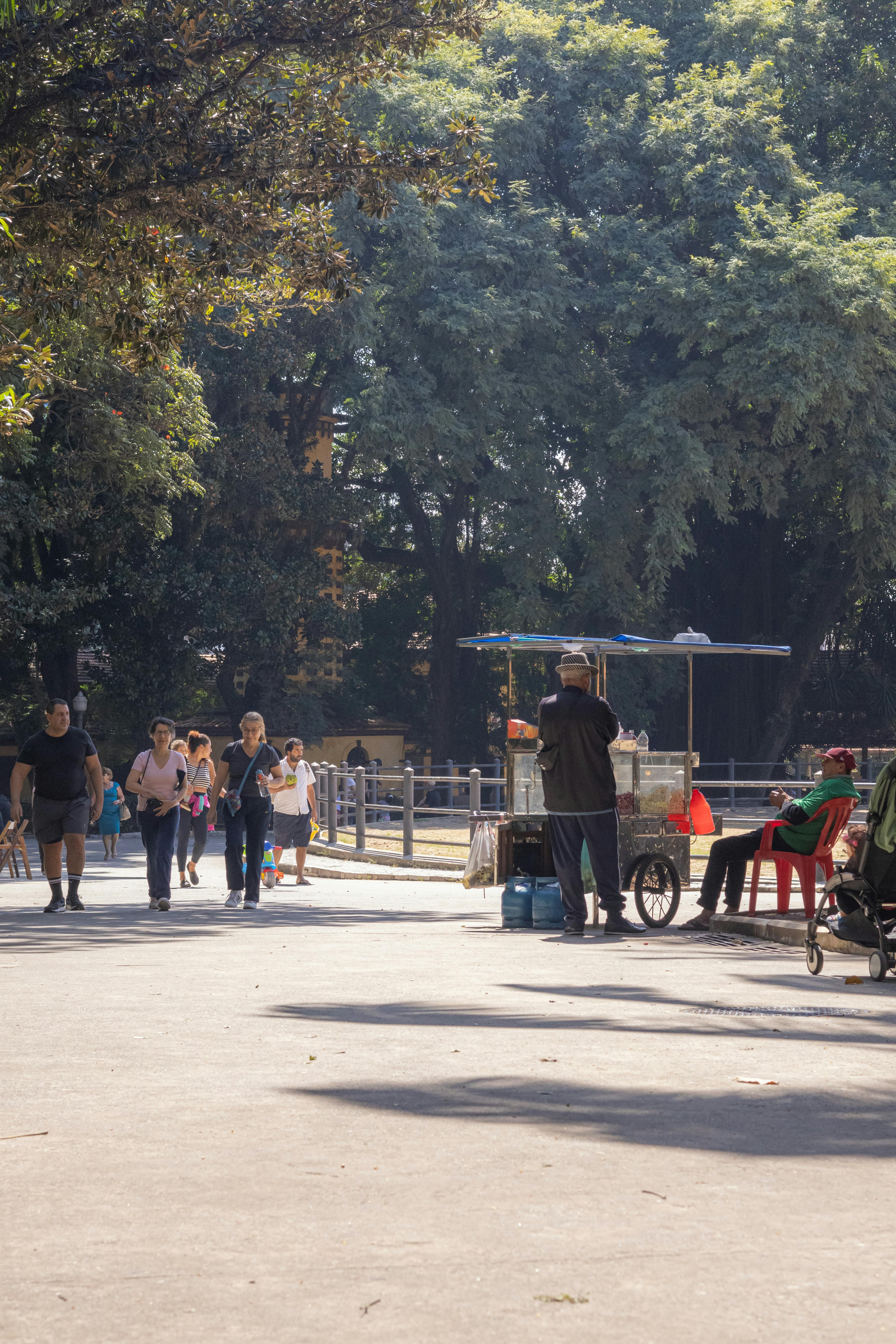 Men Operating Food Stall in Park · Free Stock Photo