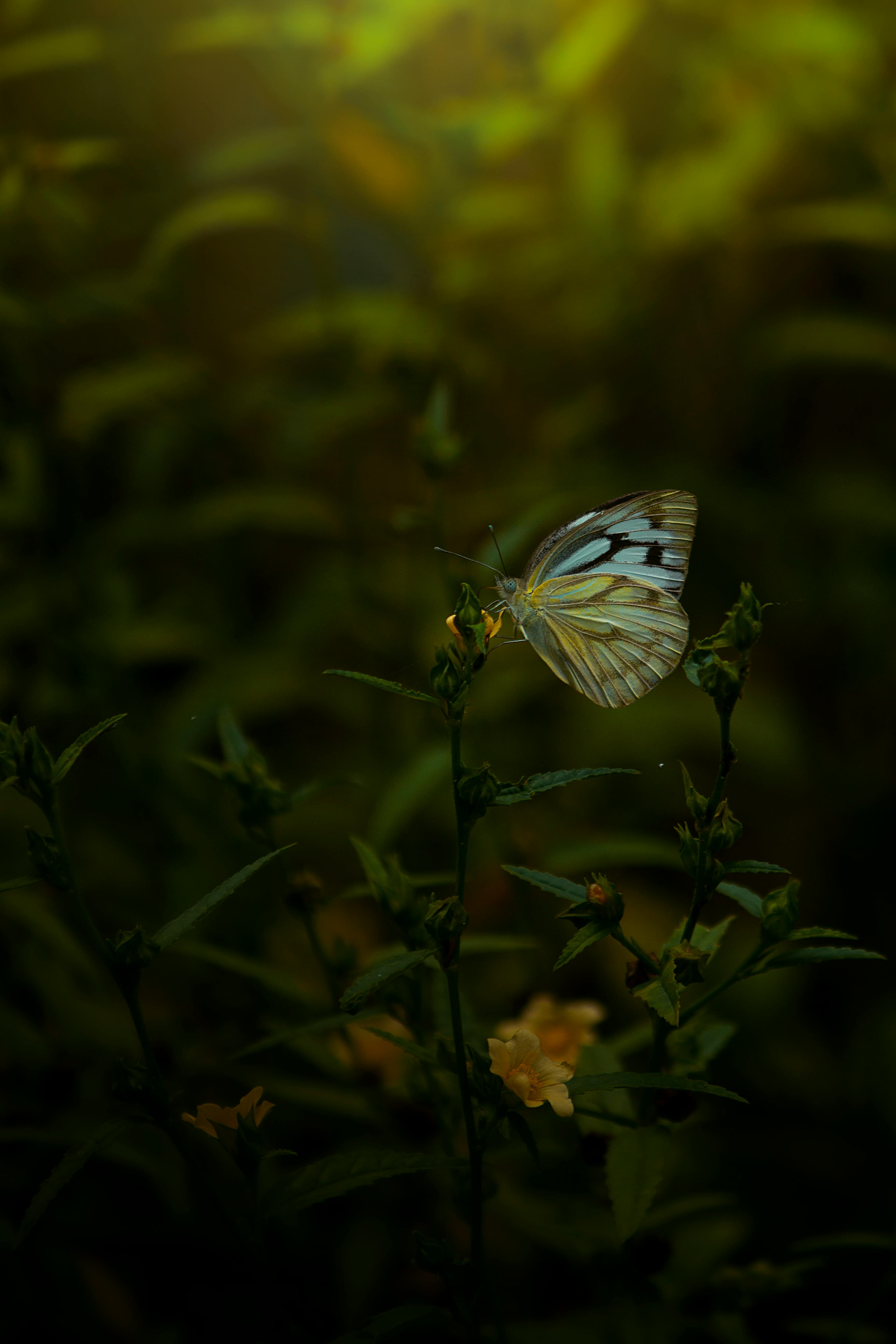 External Exposure - Photography