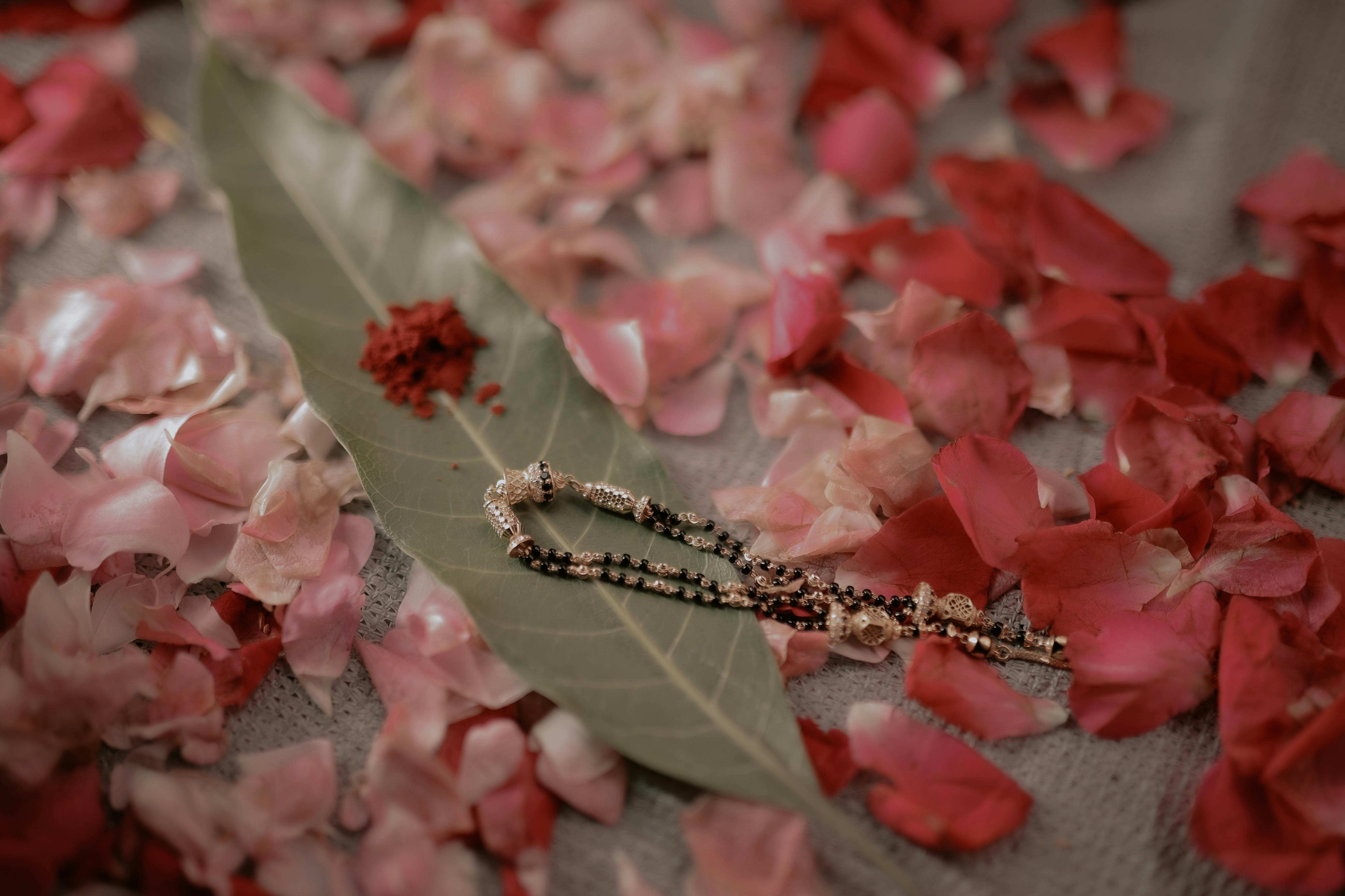 Radhe Studio - Photography