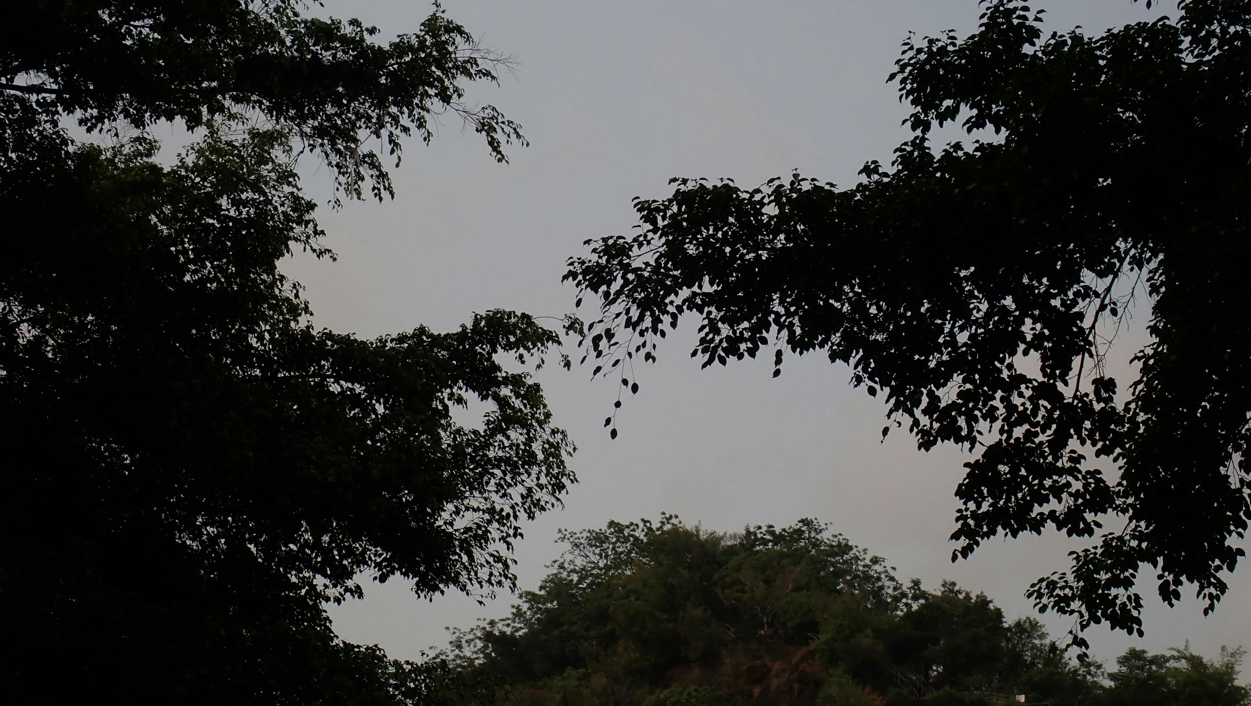 terry narcissan tsui - Photography