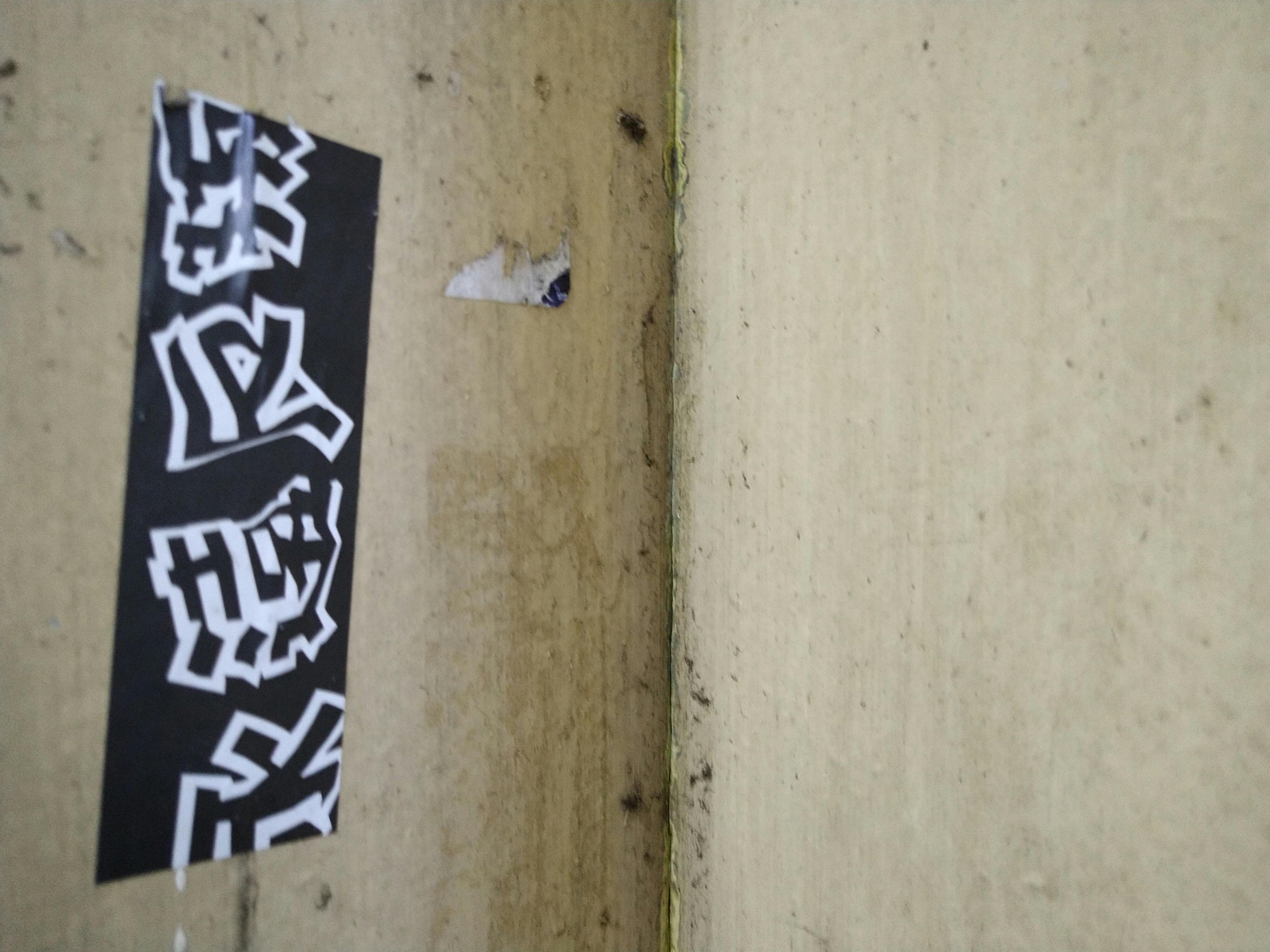 terry narcissan tsui - Photography