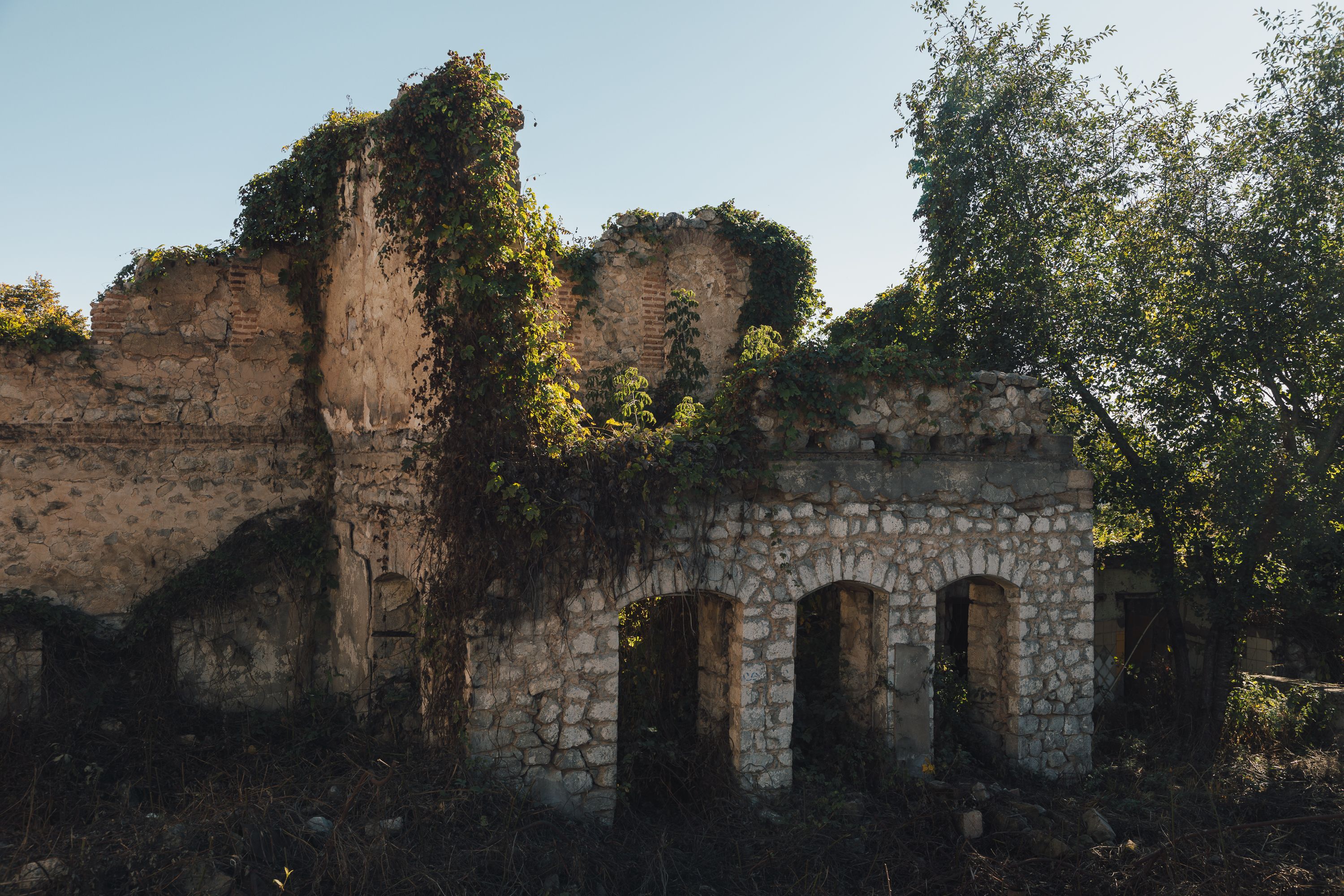 An Overgrown Ruin · Free Stock Photo