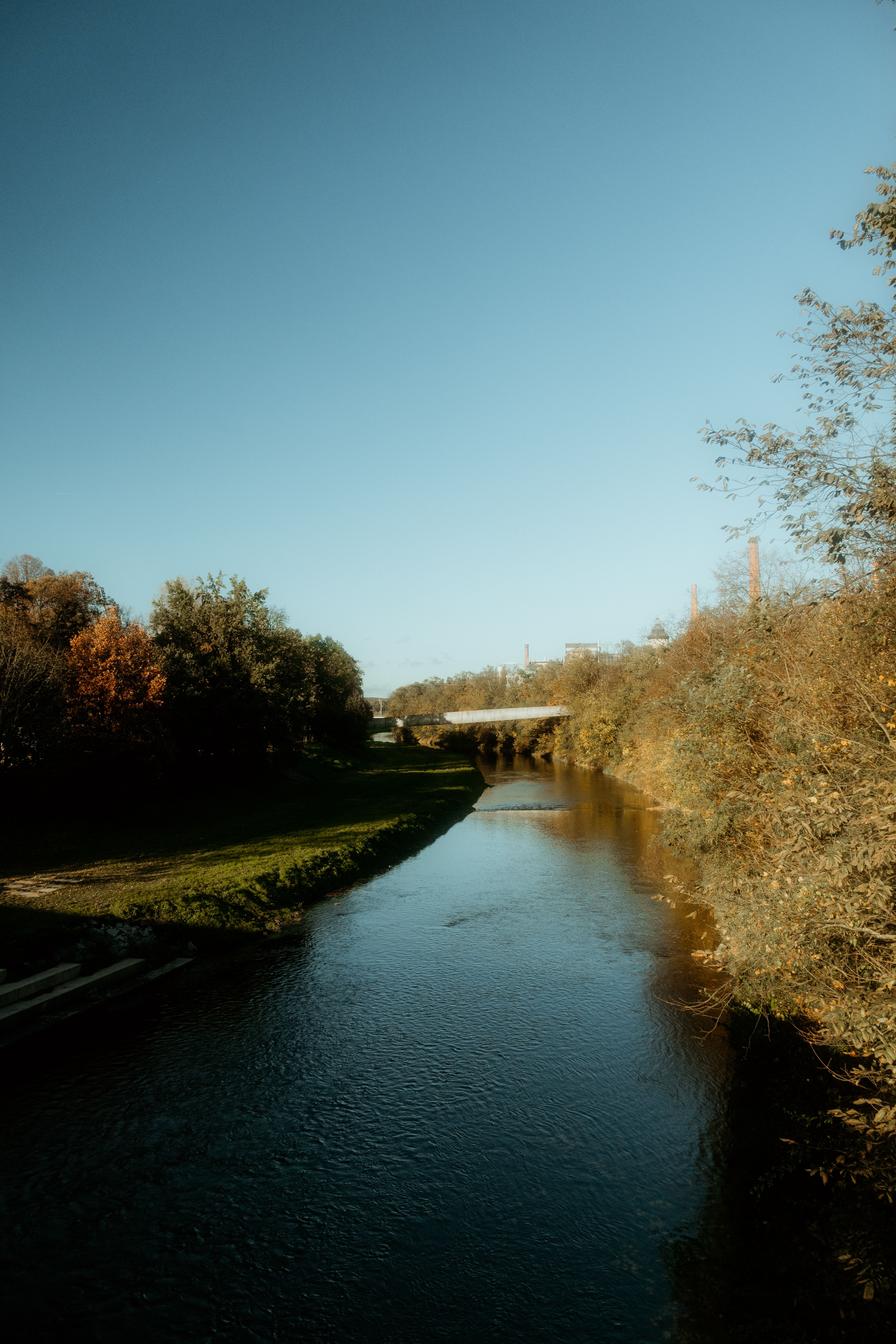 A river running through a wooded area with trees · Free Stock Photo