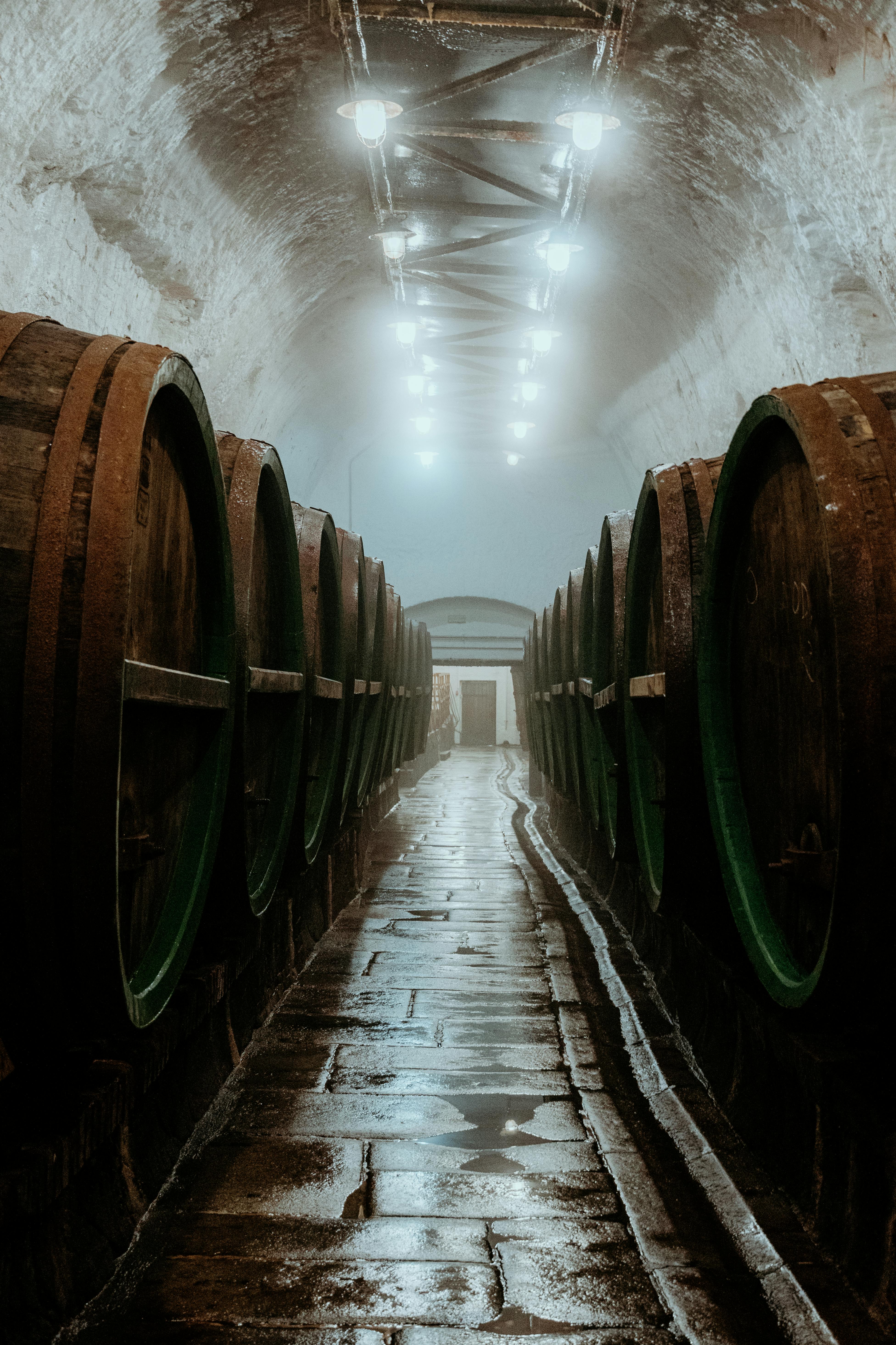 View of Wooden Barrels Inside the Pilsner Urquell Brewery in Pilsen ...