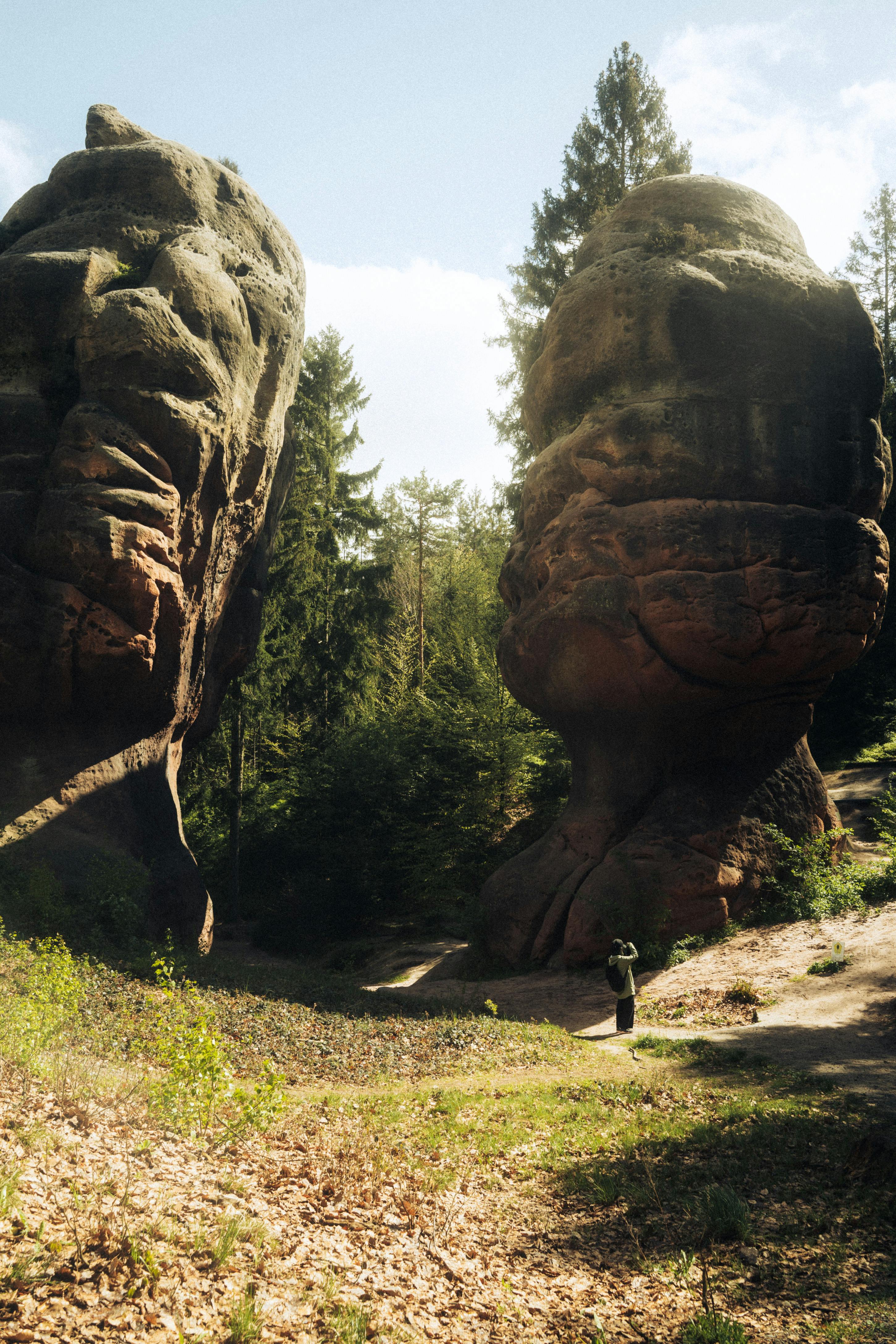 Hdri File Format Forest Photos, Download The BEST Free Hdri File Format ...