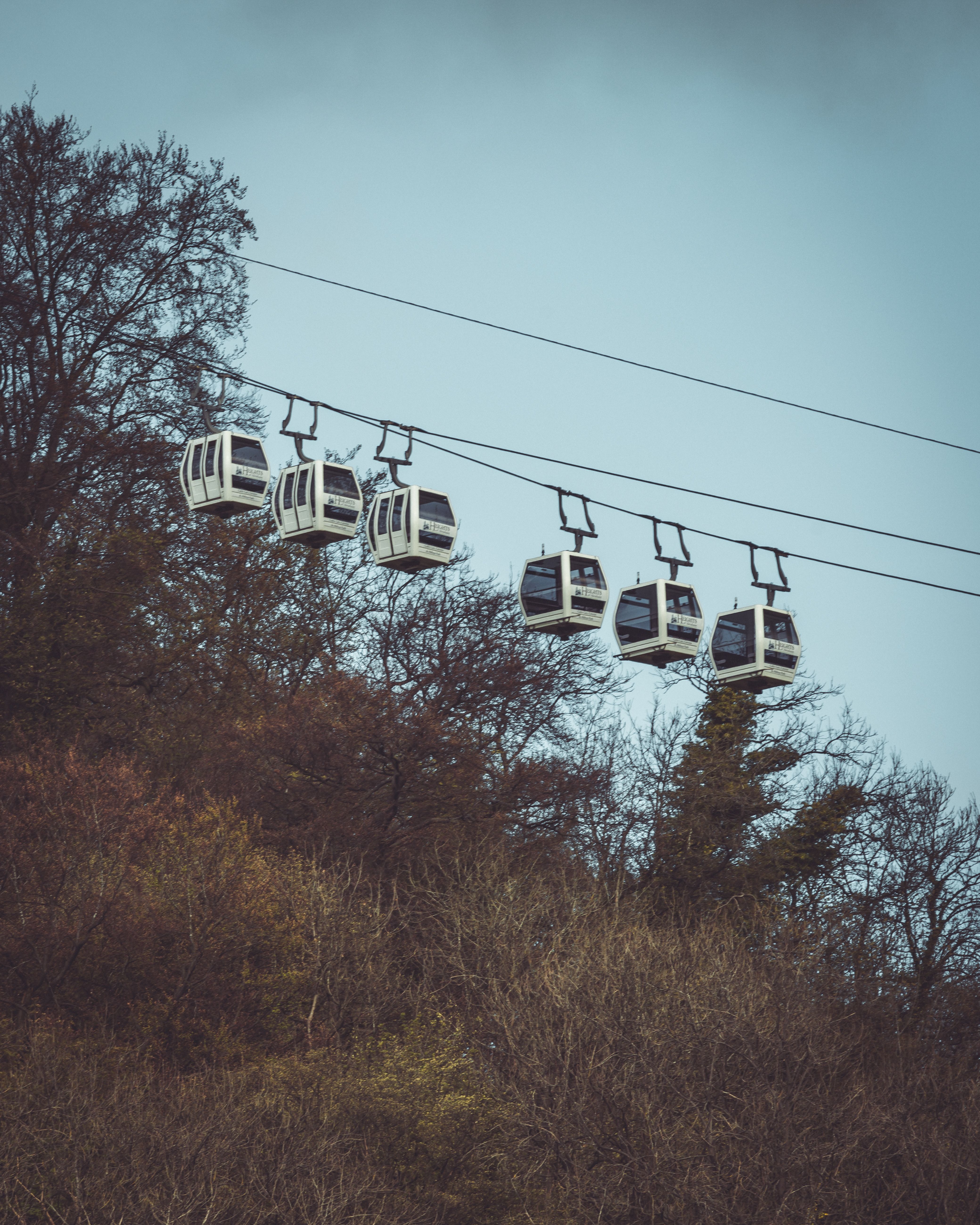 Cable Car over Forest · Free Stock Photo