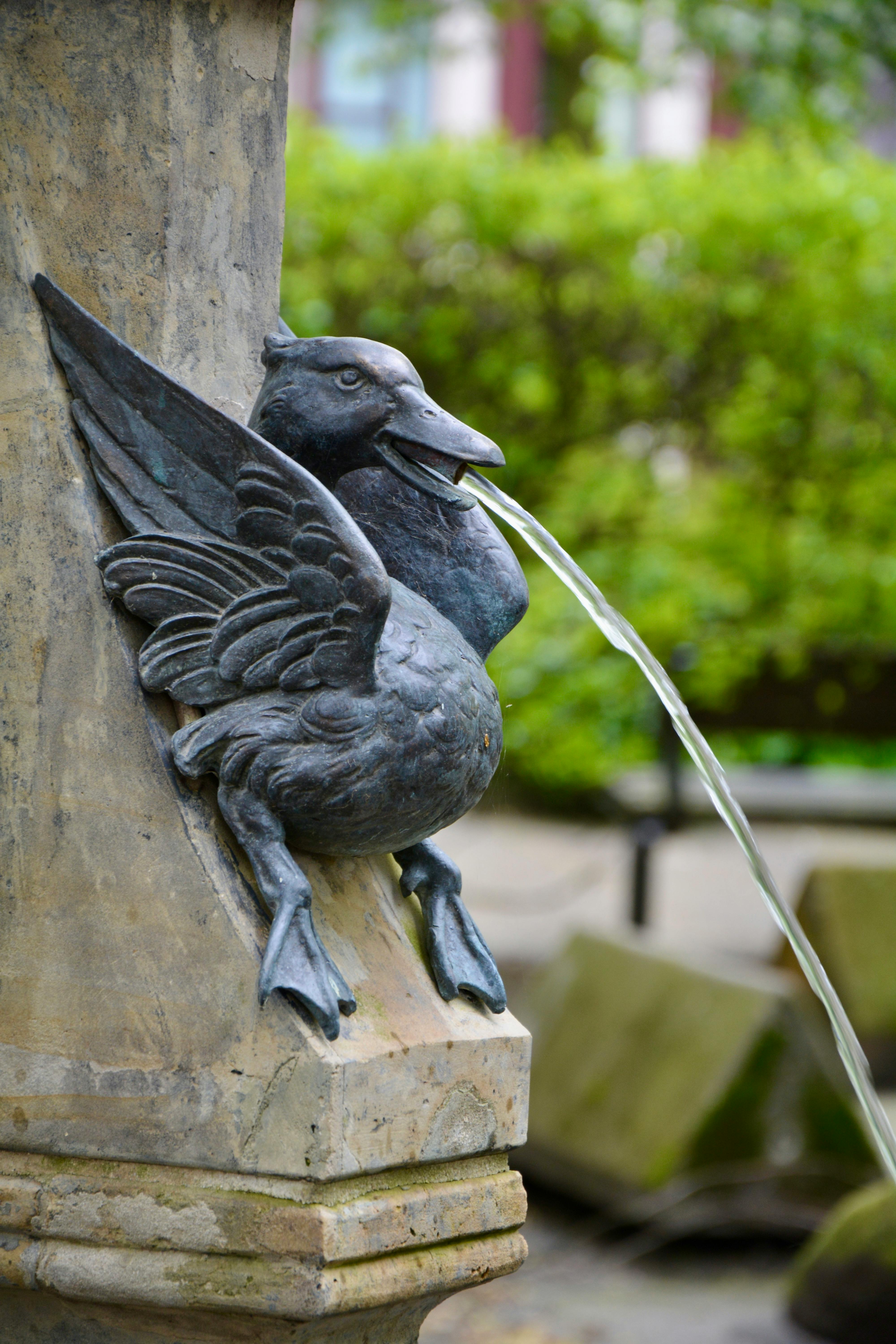 Duck Statue on Fountain · Free Stock Photo
