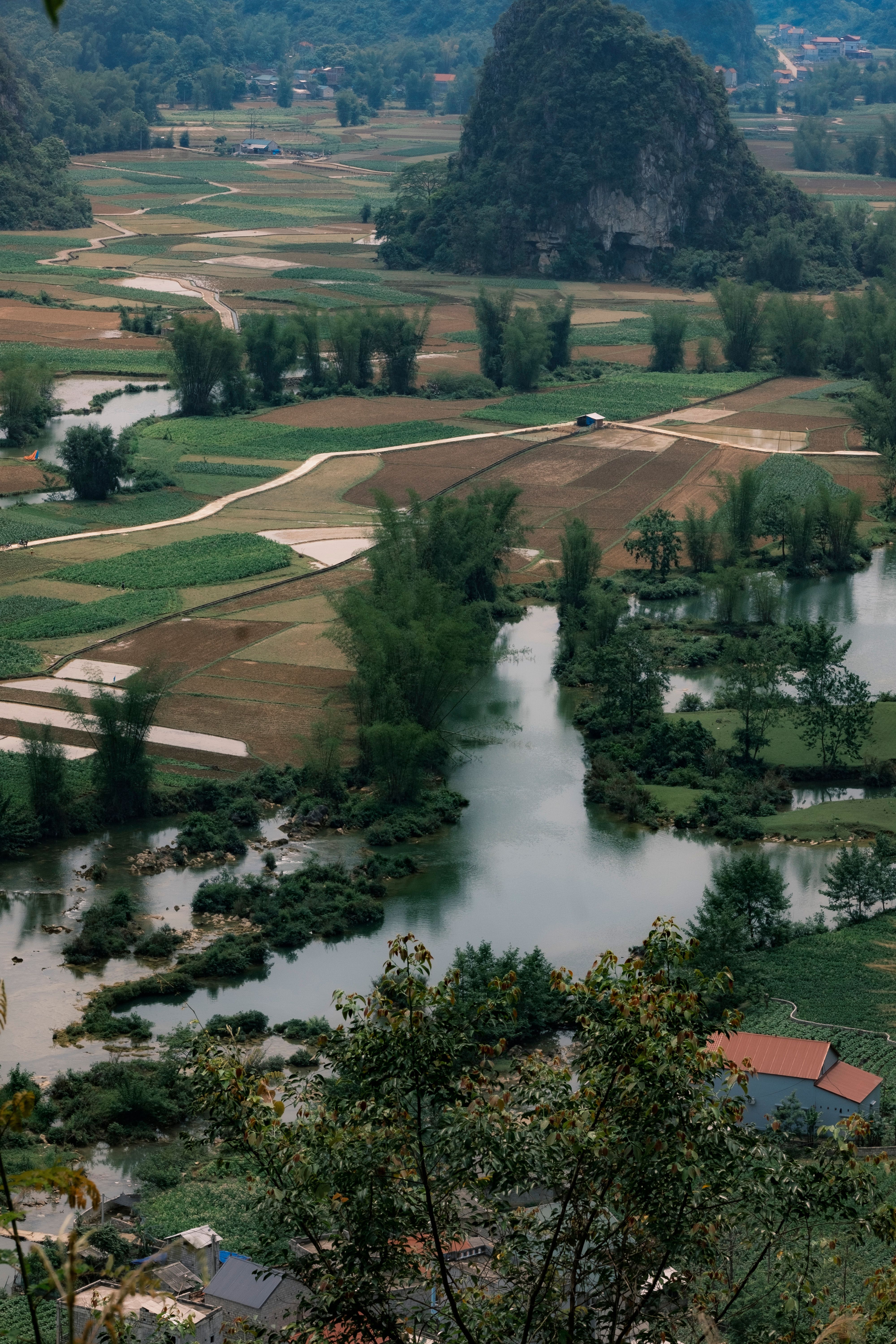 Trees and Fields around Lake in Countryside · Free Stock Photo