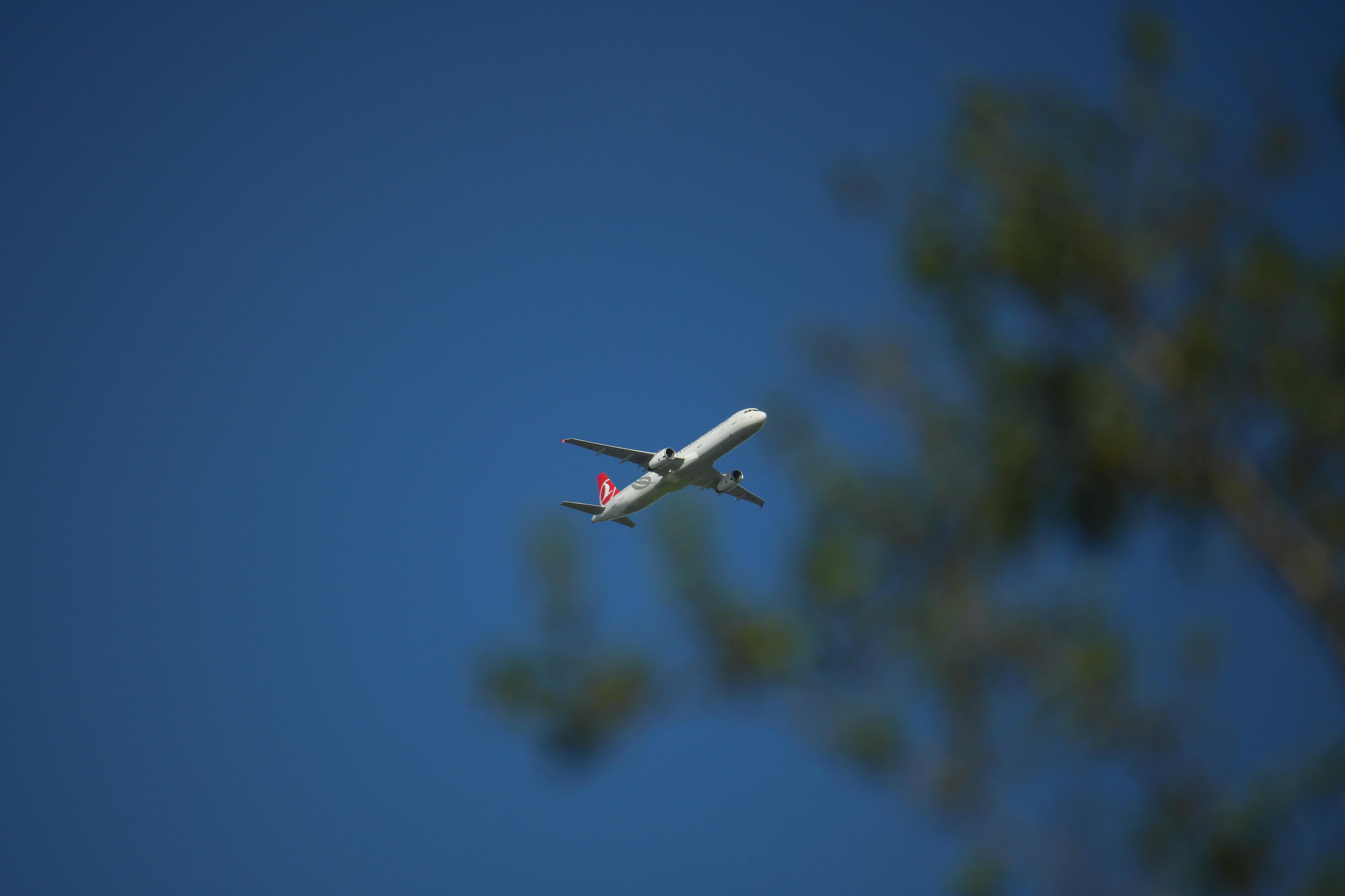 Airplane Flying over Tree Leaves · Free Stock Photo
