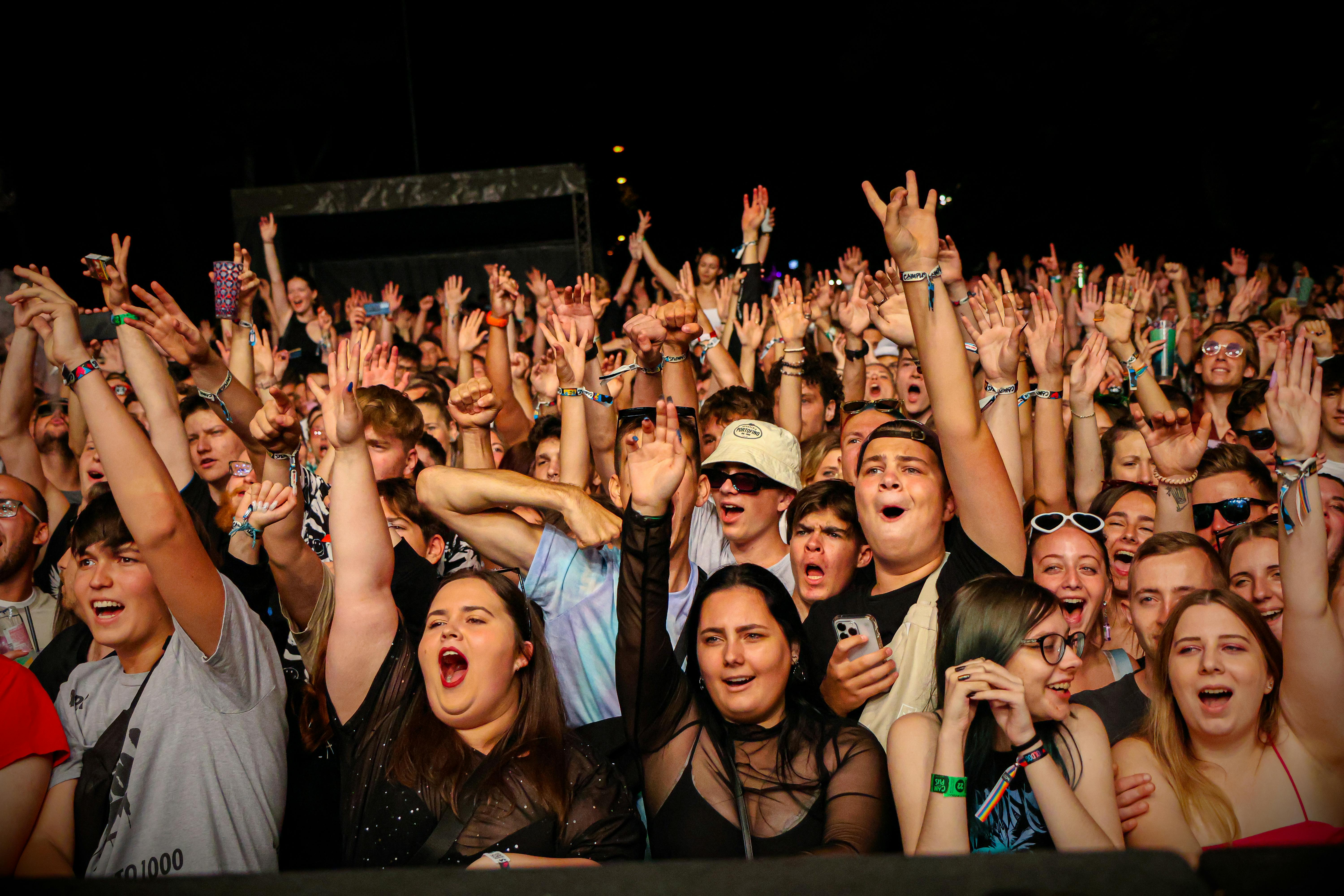 Crowd with Arms Raised at Concert · Free Stock Photo