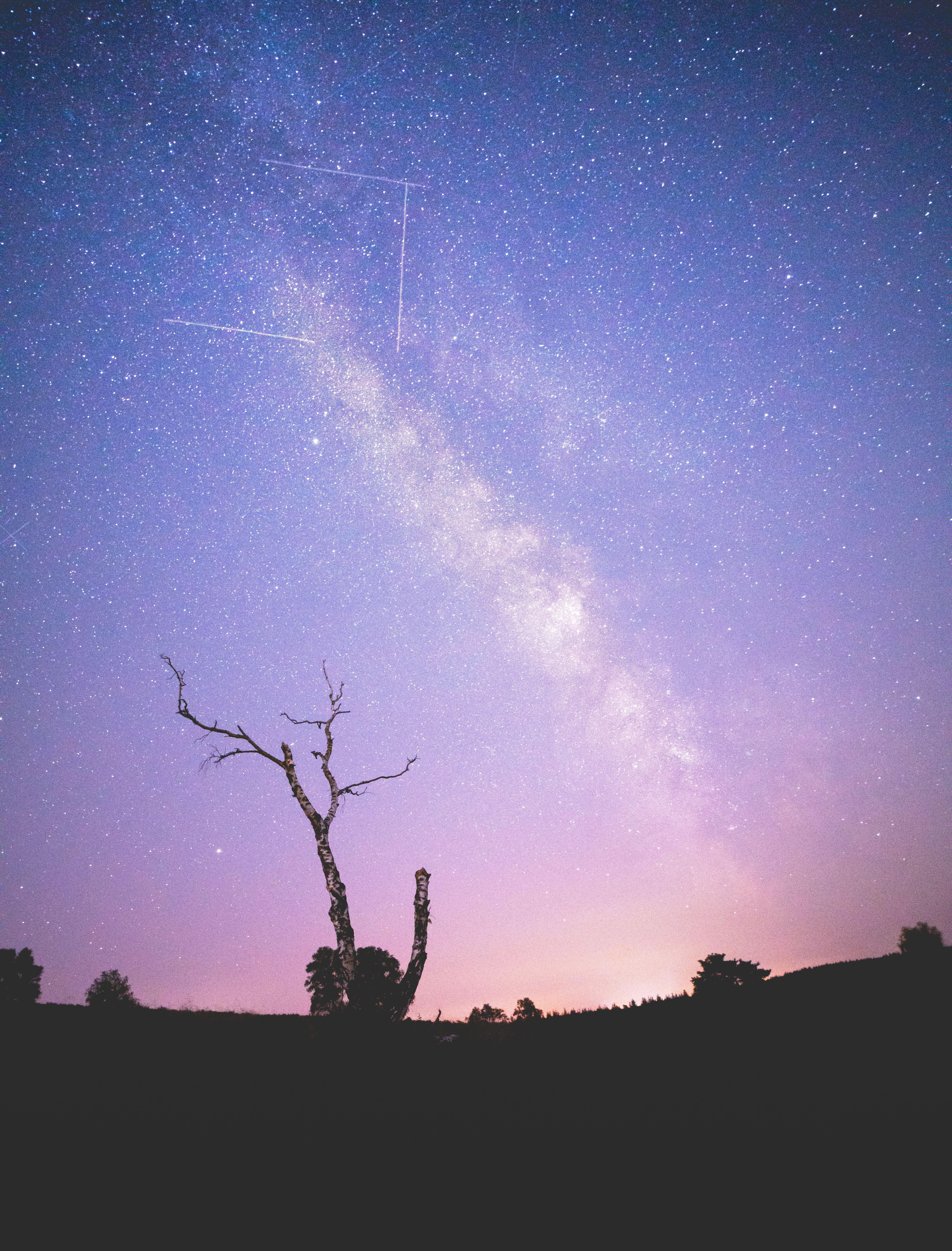 Stars in Clear Sky · Free Stock Photo
