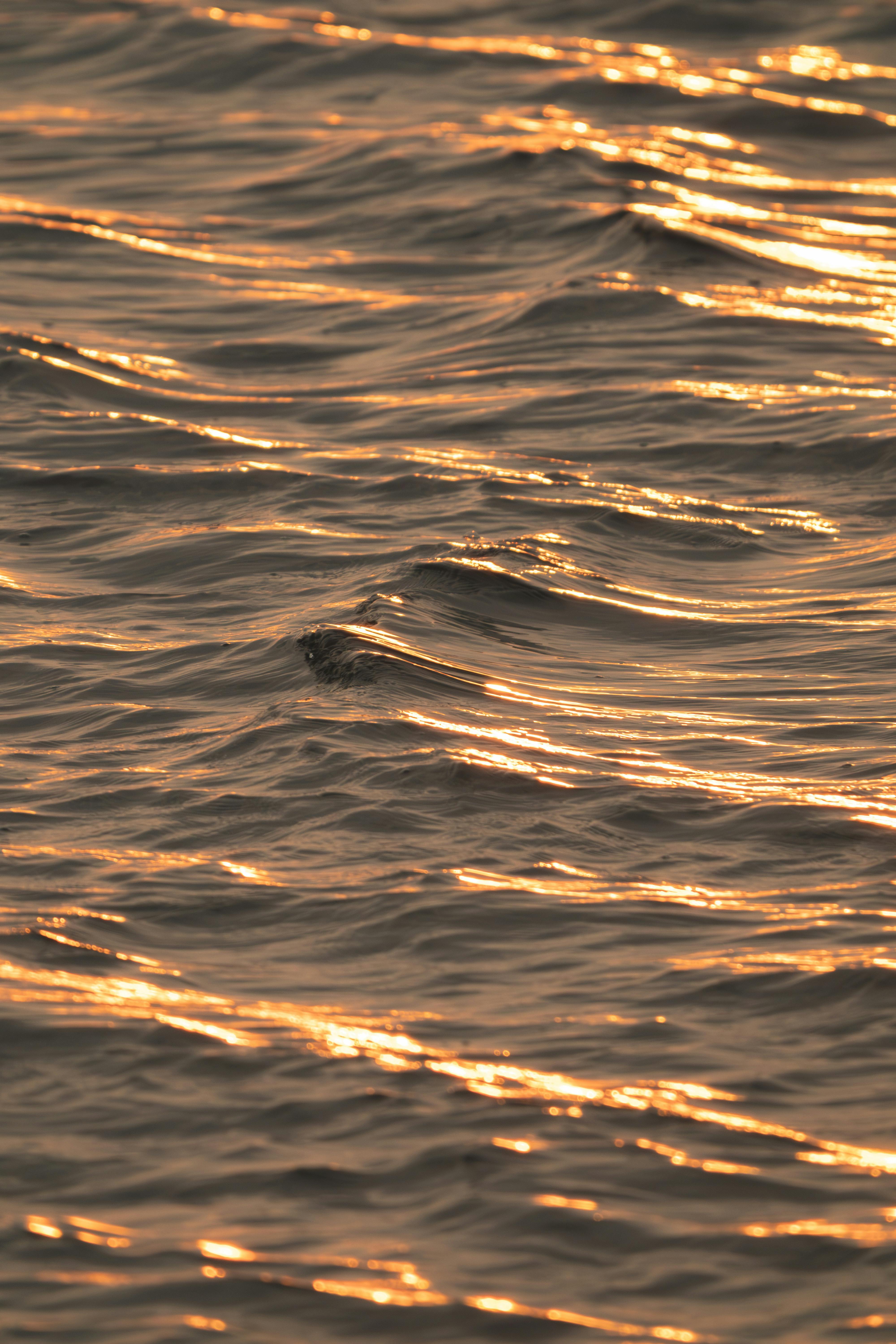 Wavy Surface With Photos, Download The BEST Free Wavy Surface With ...