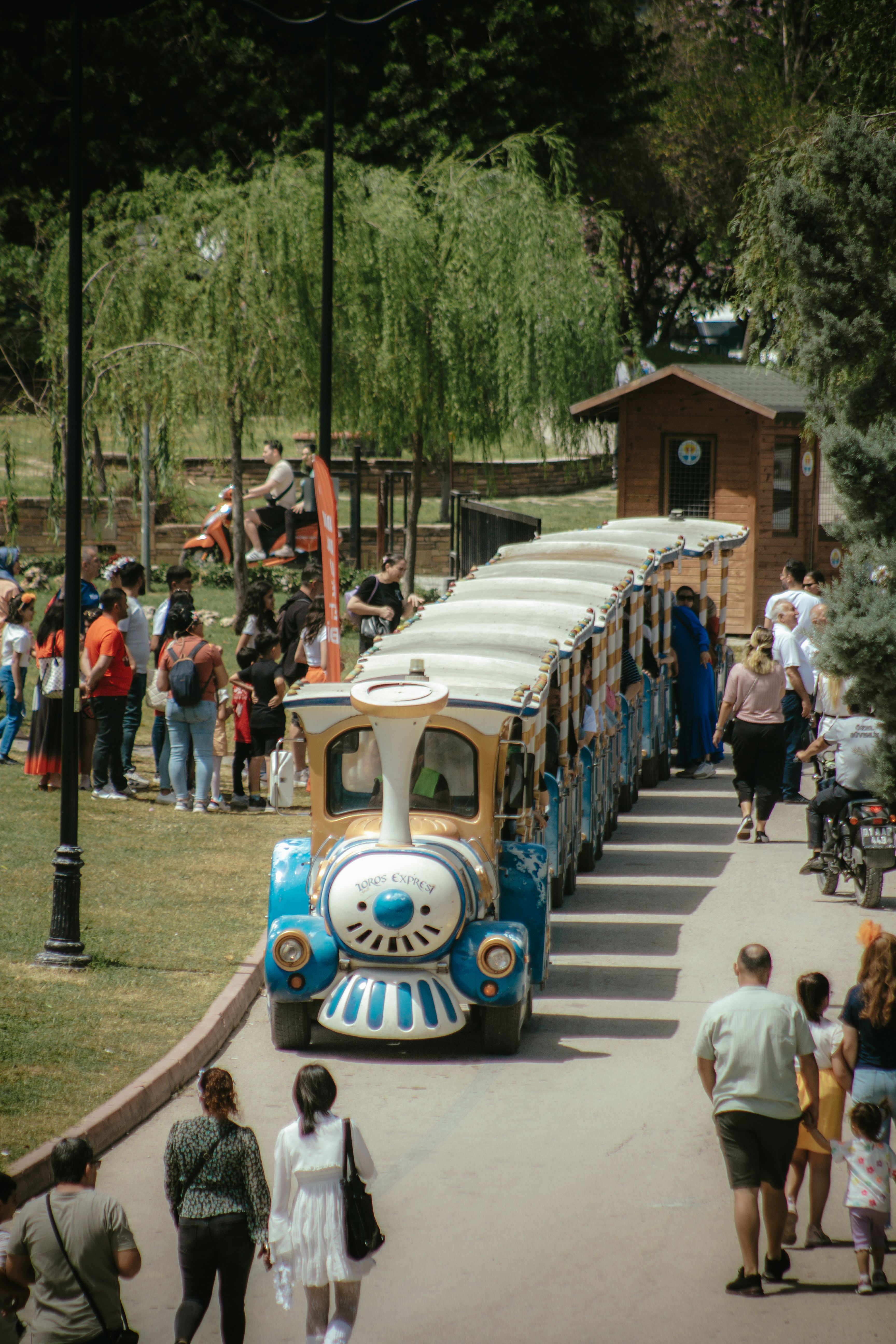 Touristic Train in Park · Free Stock Photo