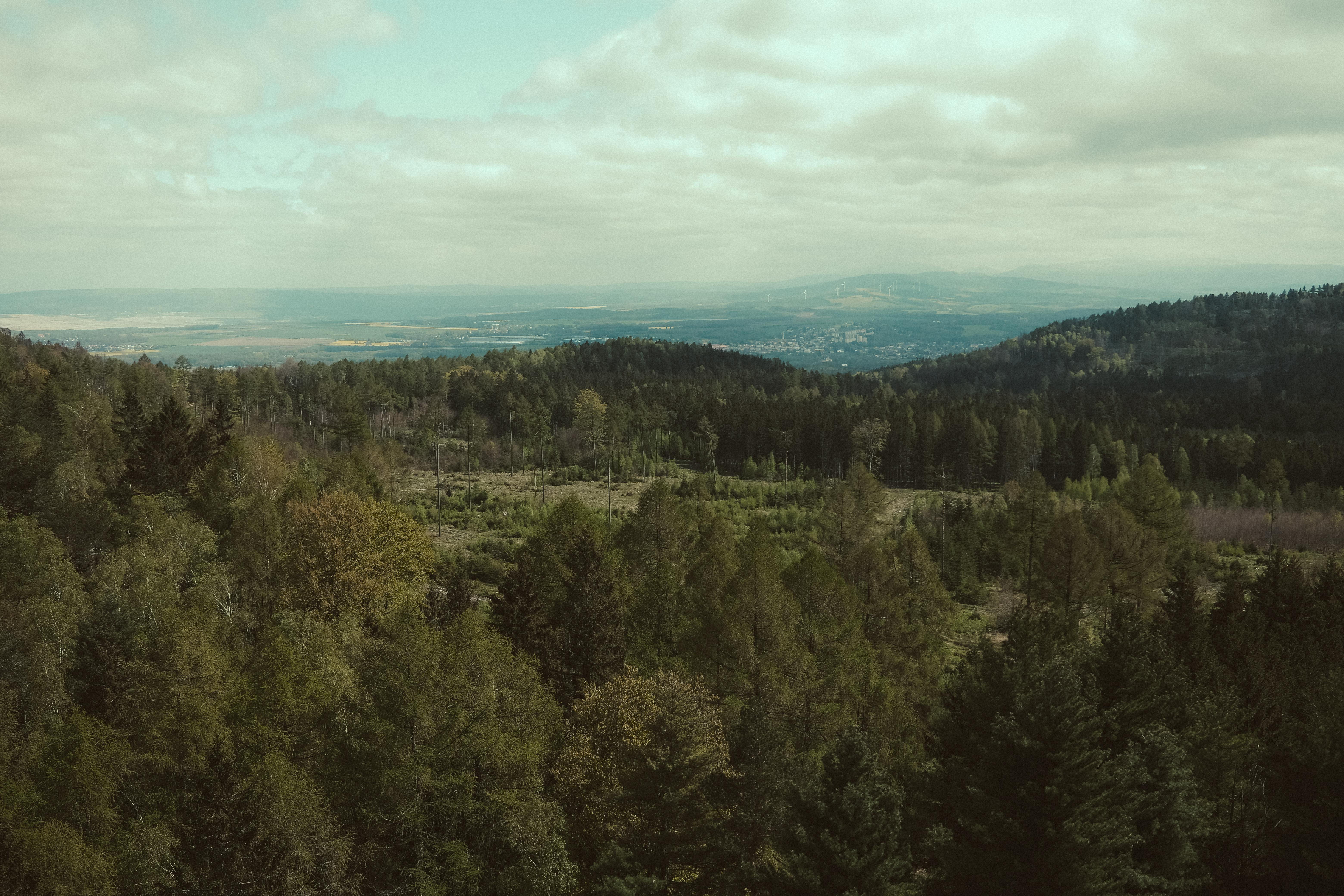 A view of a forested area with trees and hills · Free Stock Photo