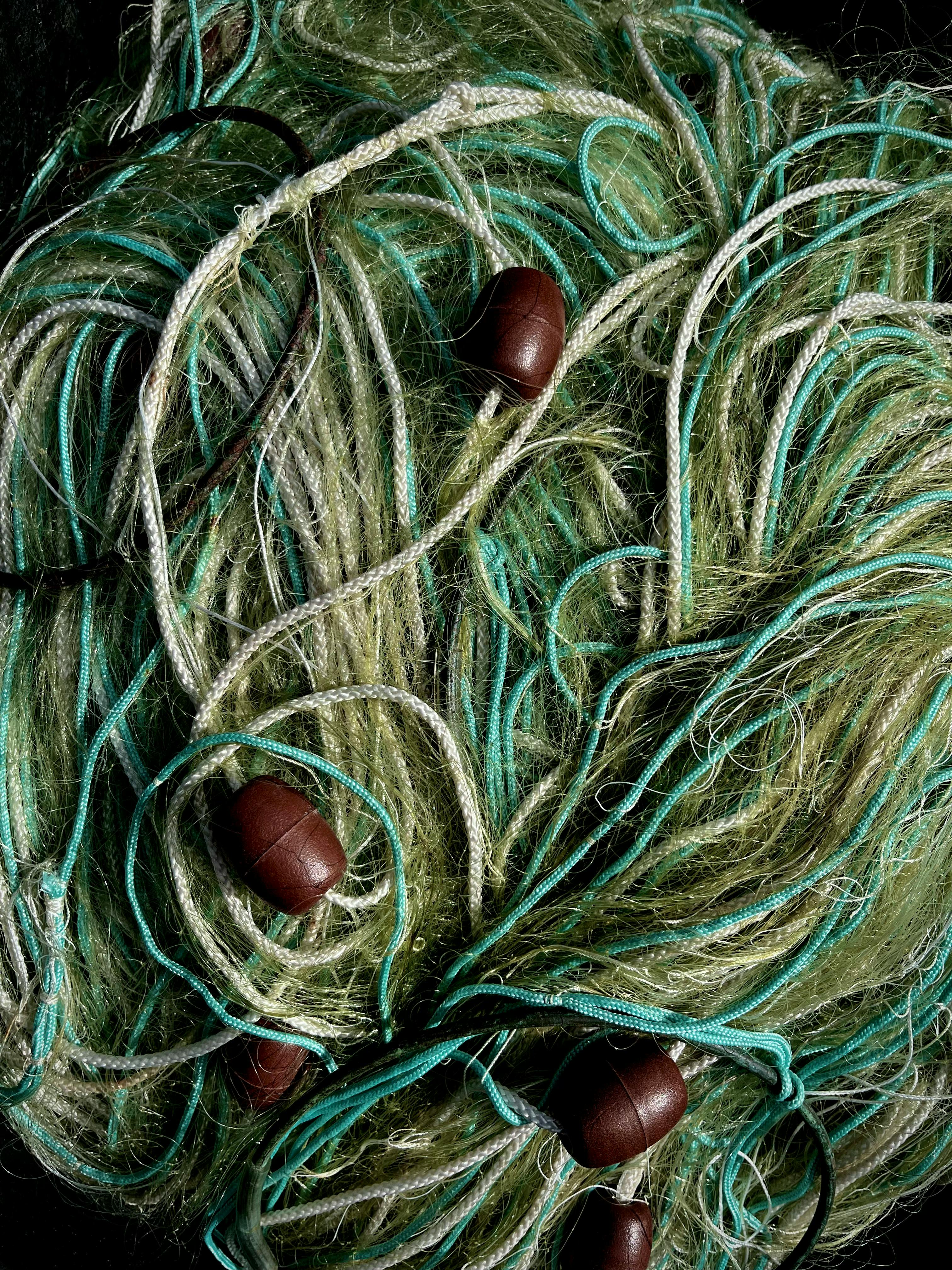 Close-up of a Tangled Fishing Net · Free Stock Photo