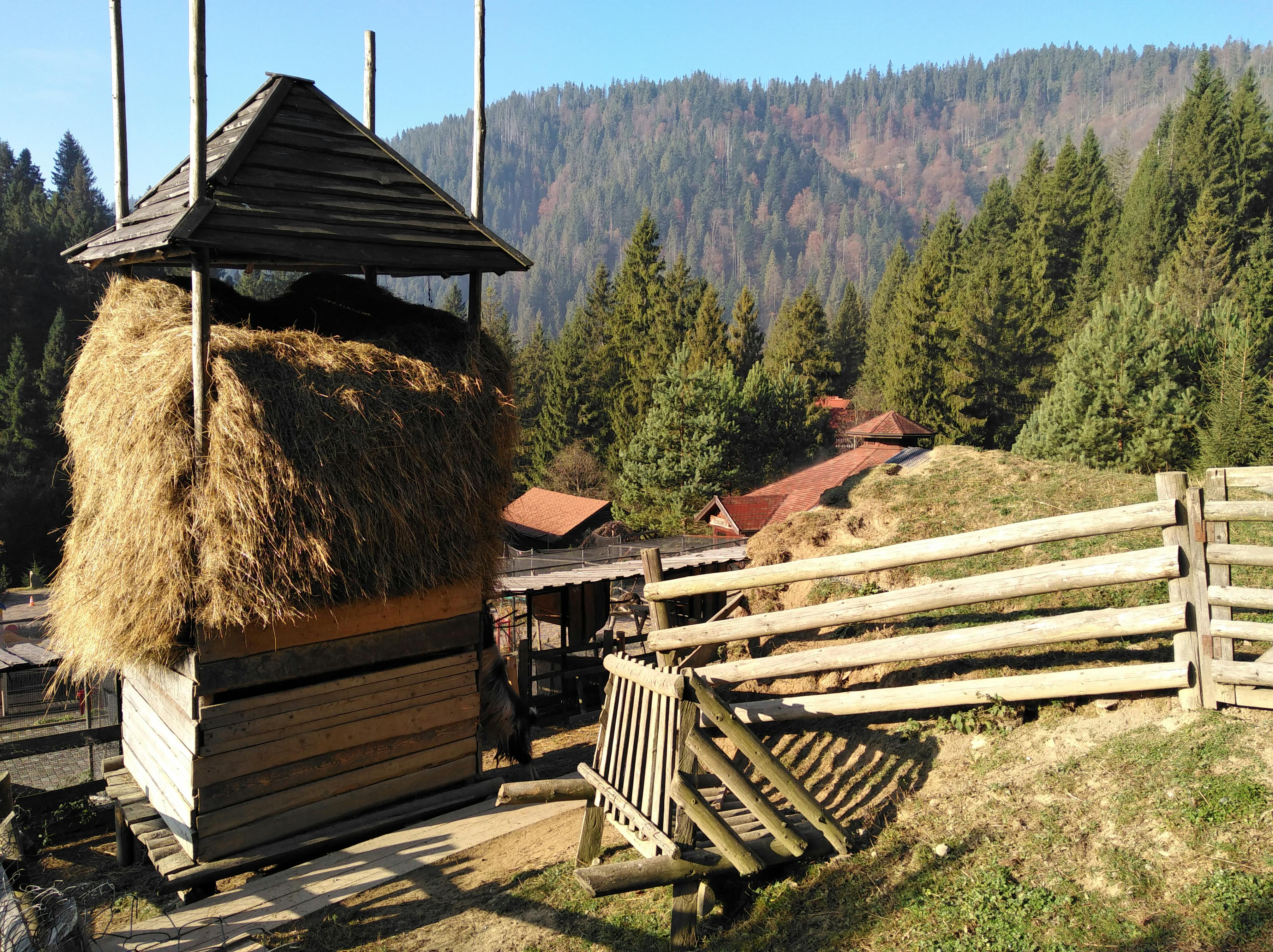 Hay and Fence with Forest behind · Free Stock Photo