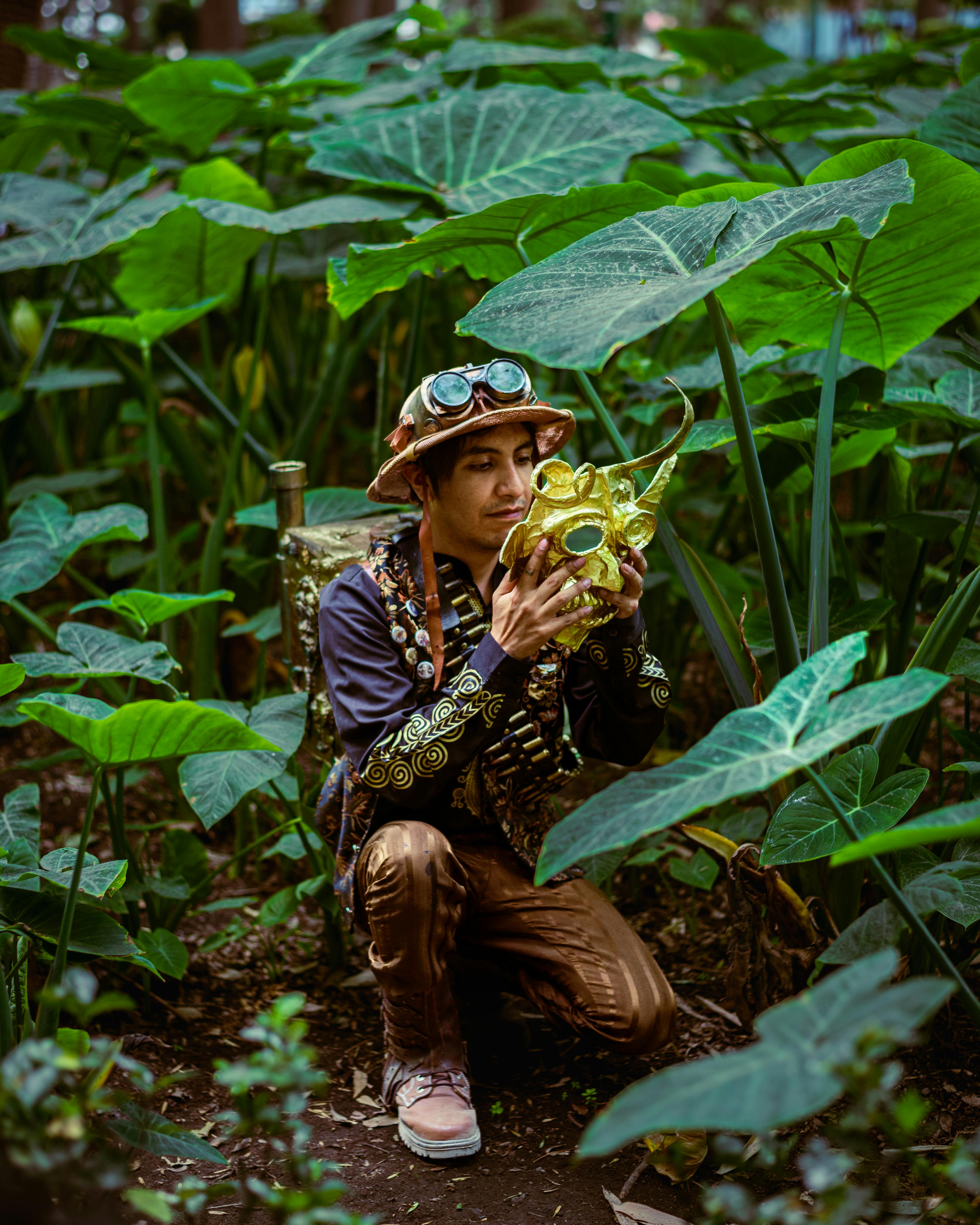 Kongo Jungle Photos, Download The BEST Free Kongo Jungle Stock Photos ...