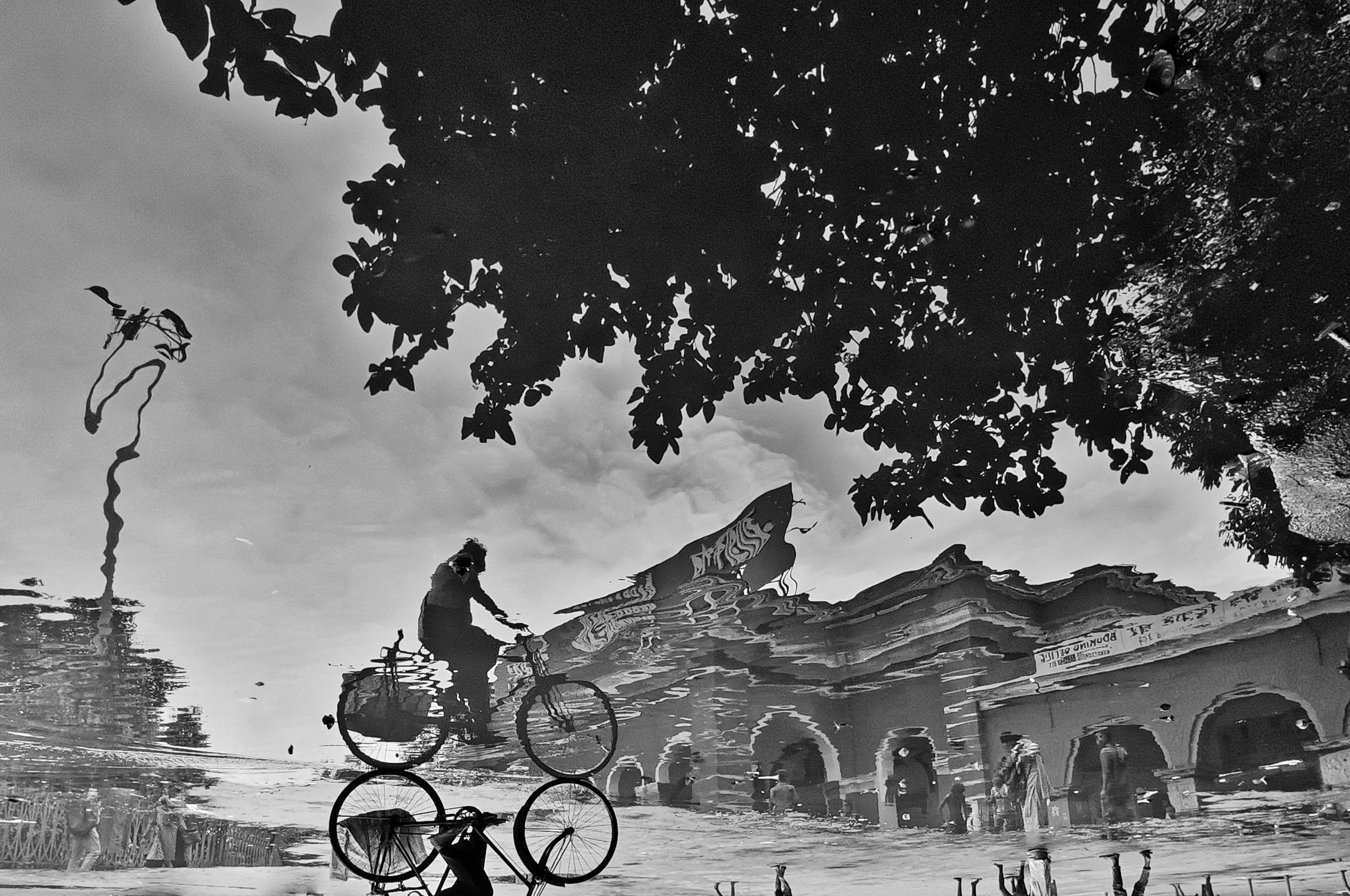 Man on Bicycle Reflection in Puddle · Free Stock Photo