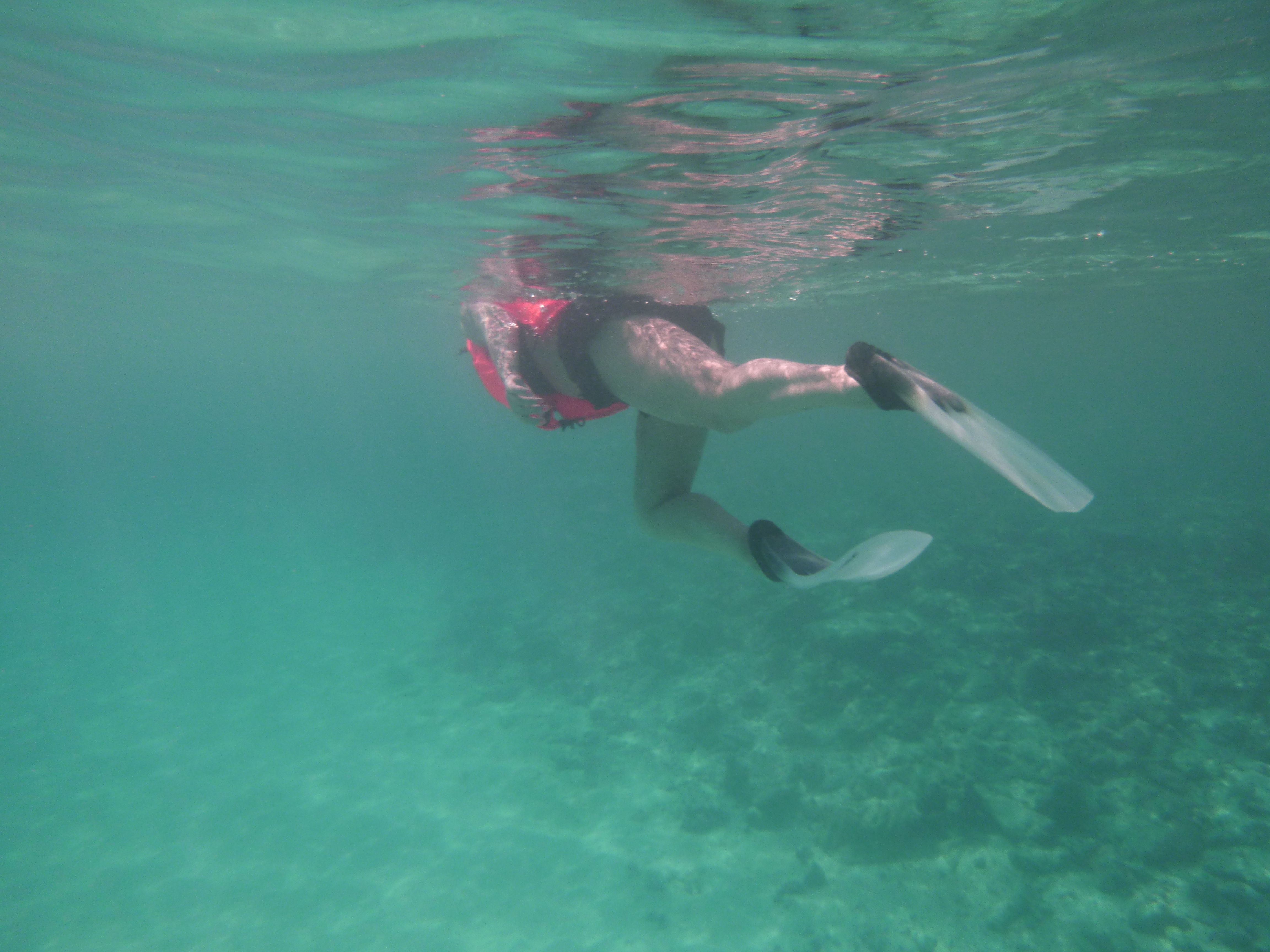 Underwater 239 Photos & Videos Collected by Ivaylo Parvanov
