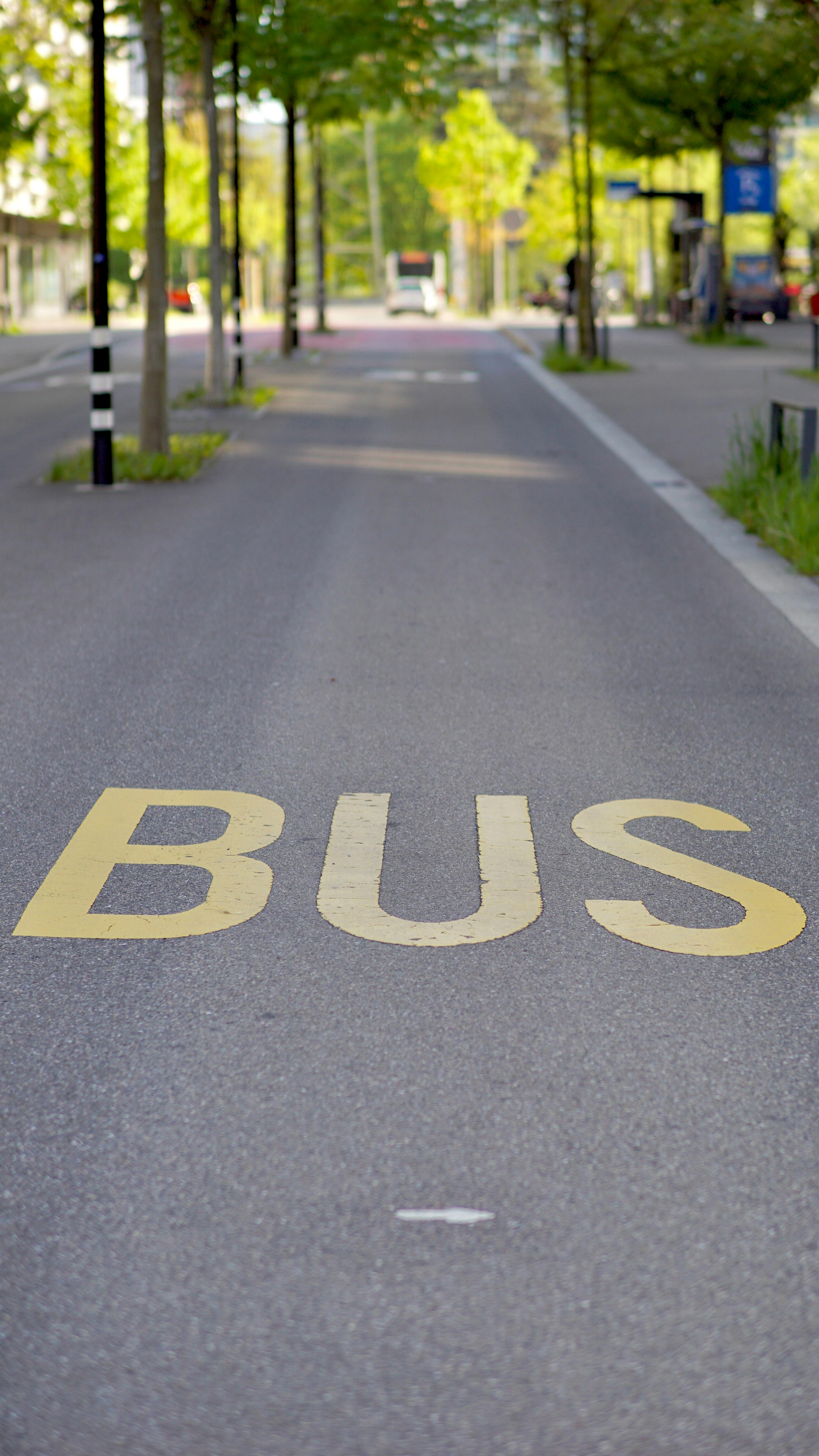 Bus Lane Marking · Free Stock Photo