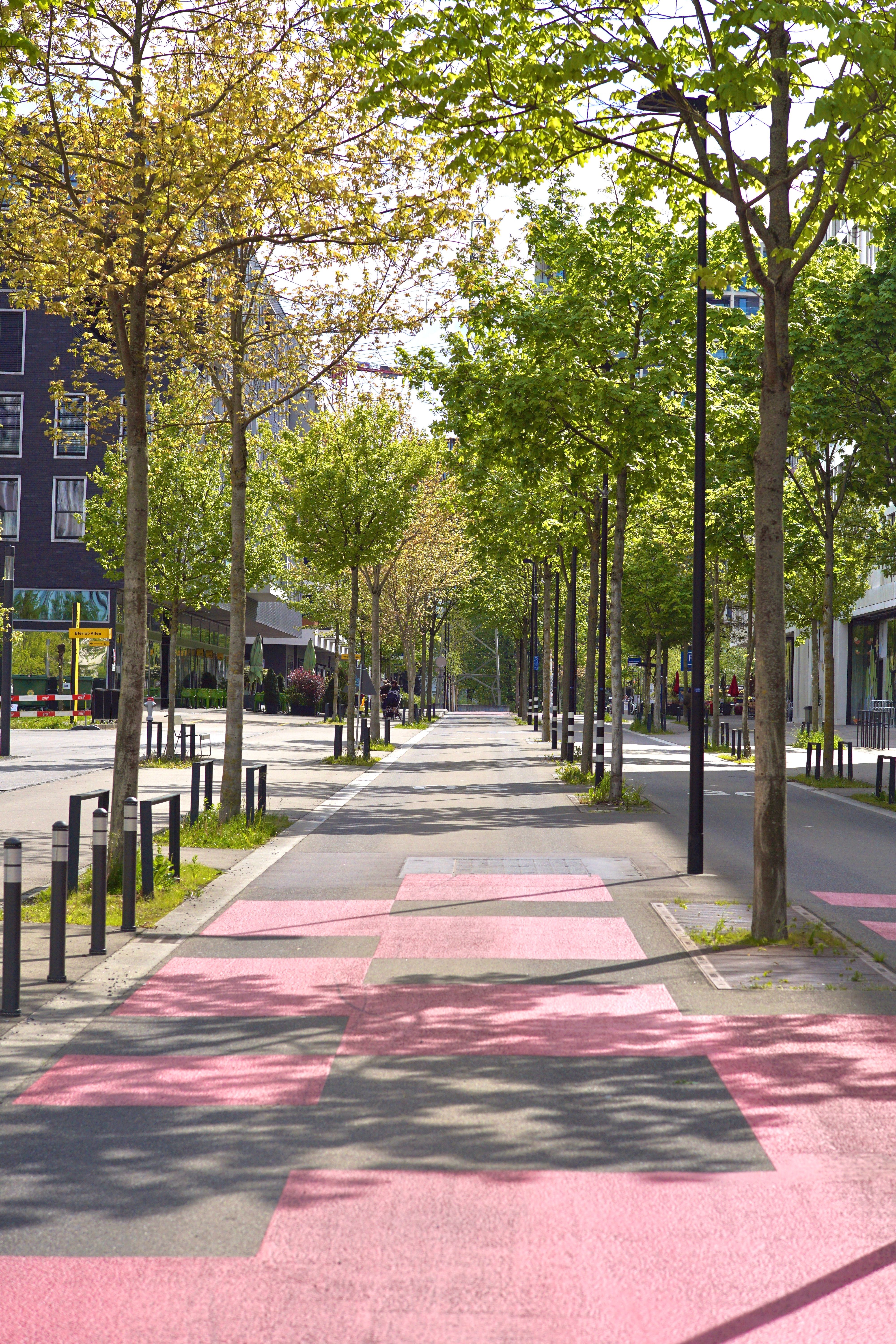 An Alley Painted in Pink · Free Stock Photo