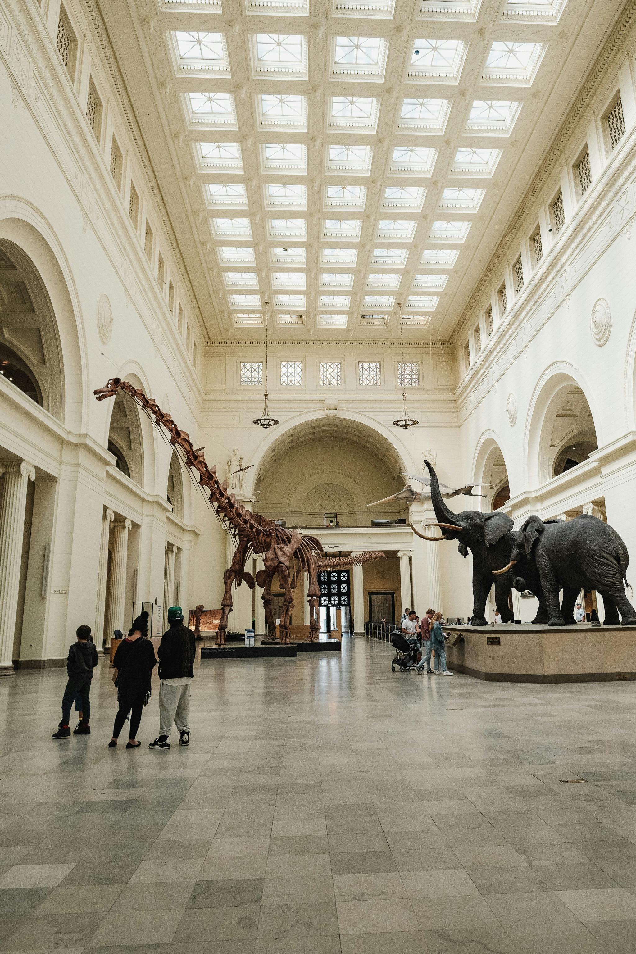 Eroom Photos, Download The BEST Free Eroom Stock Photos & HD Images