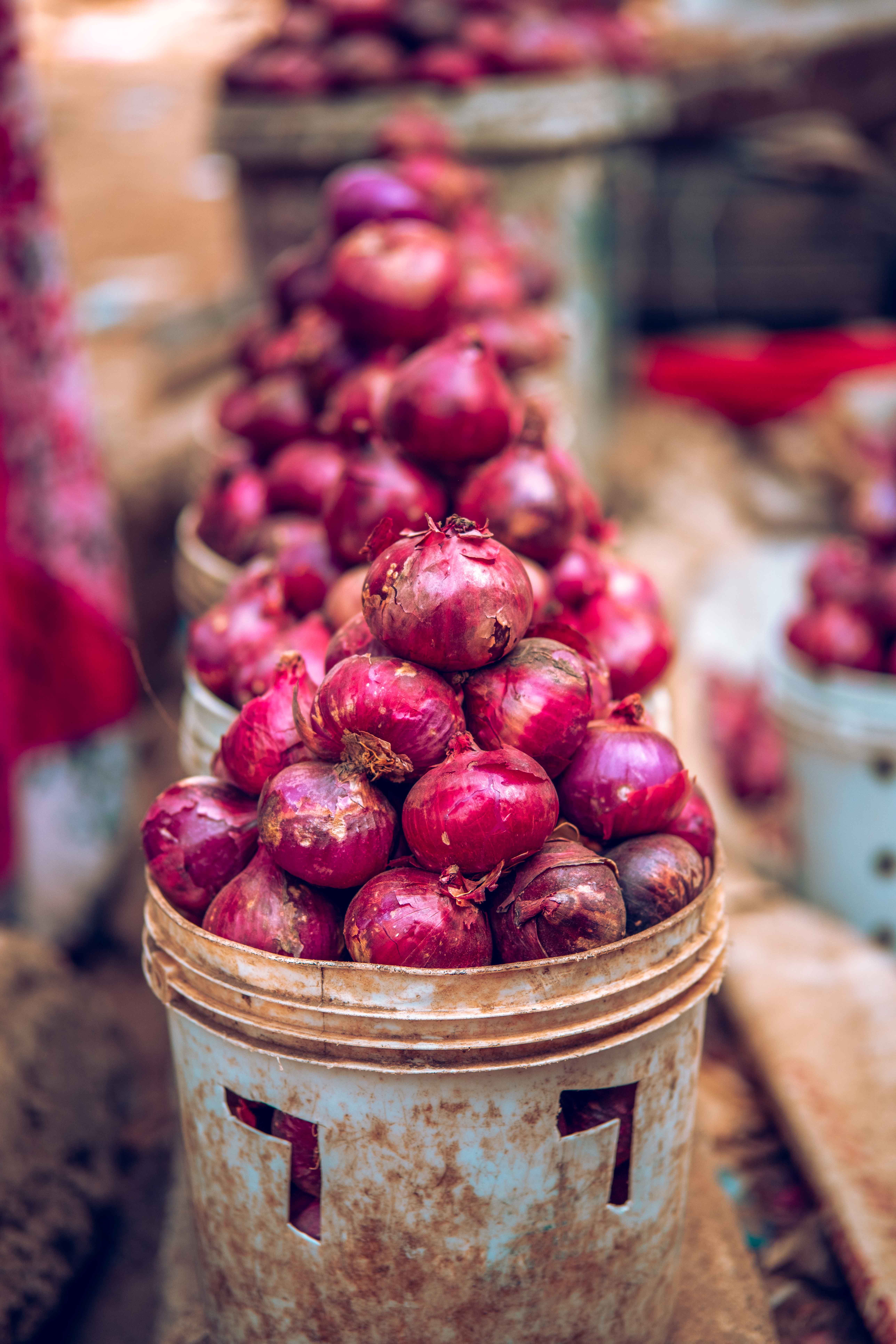 Red Onions in Bucket · Free Stock Photo