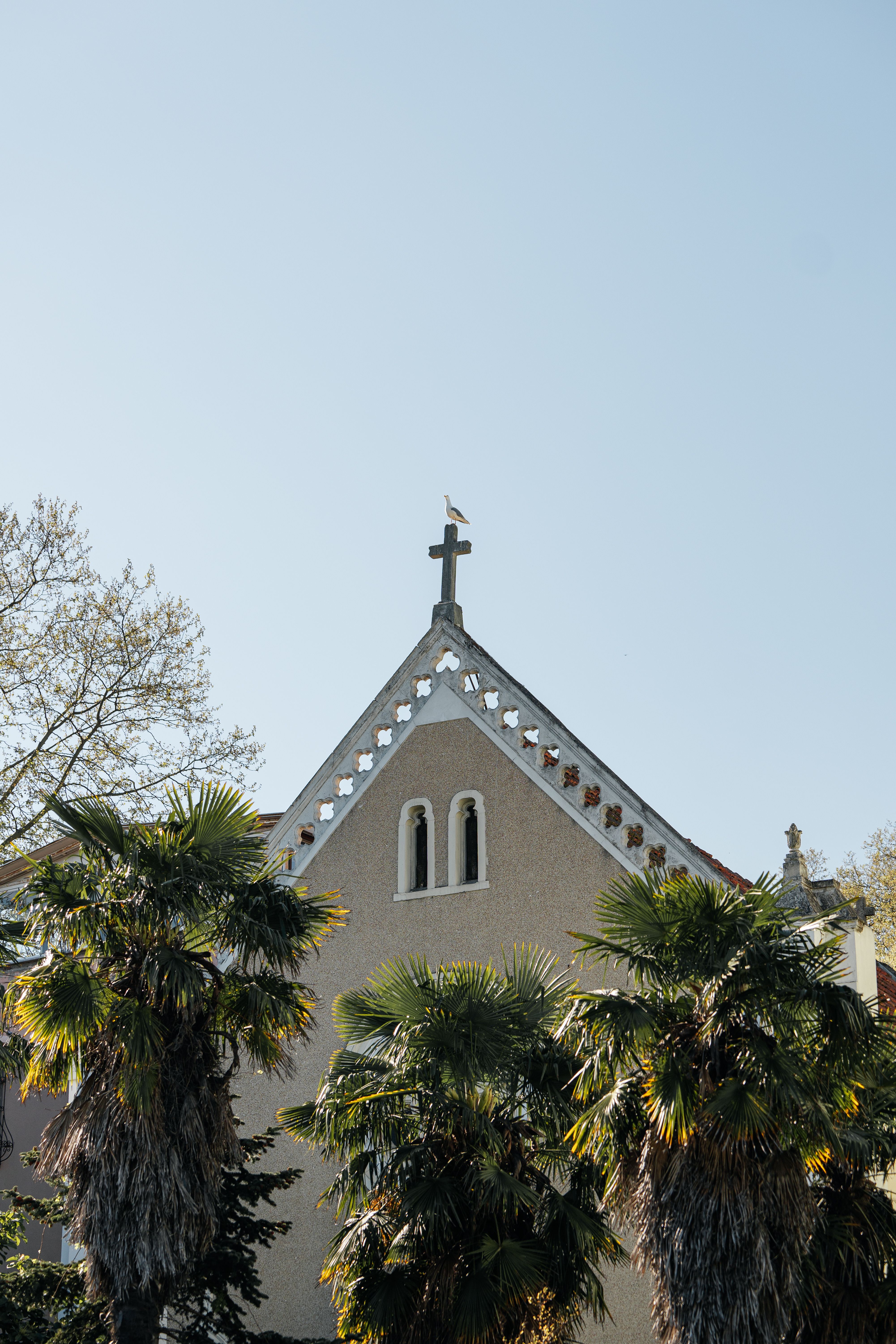 Bird on Church over Palm Trees · Free Stock Photo