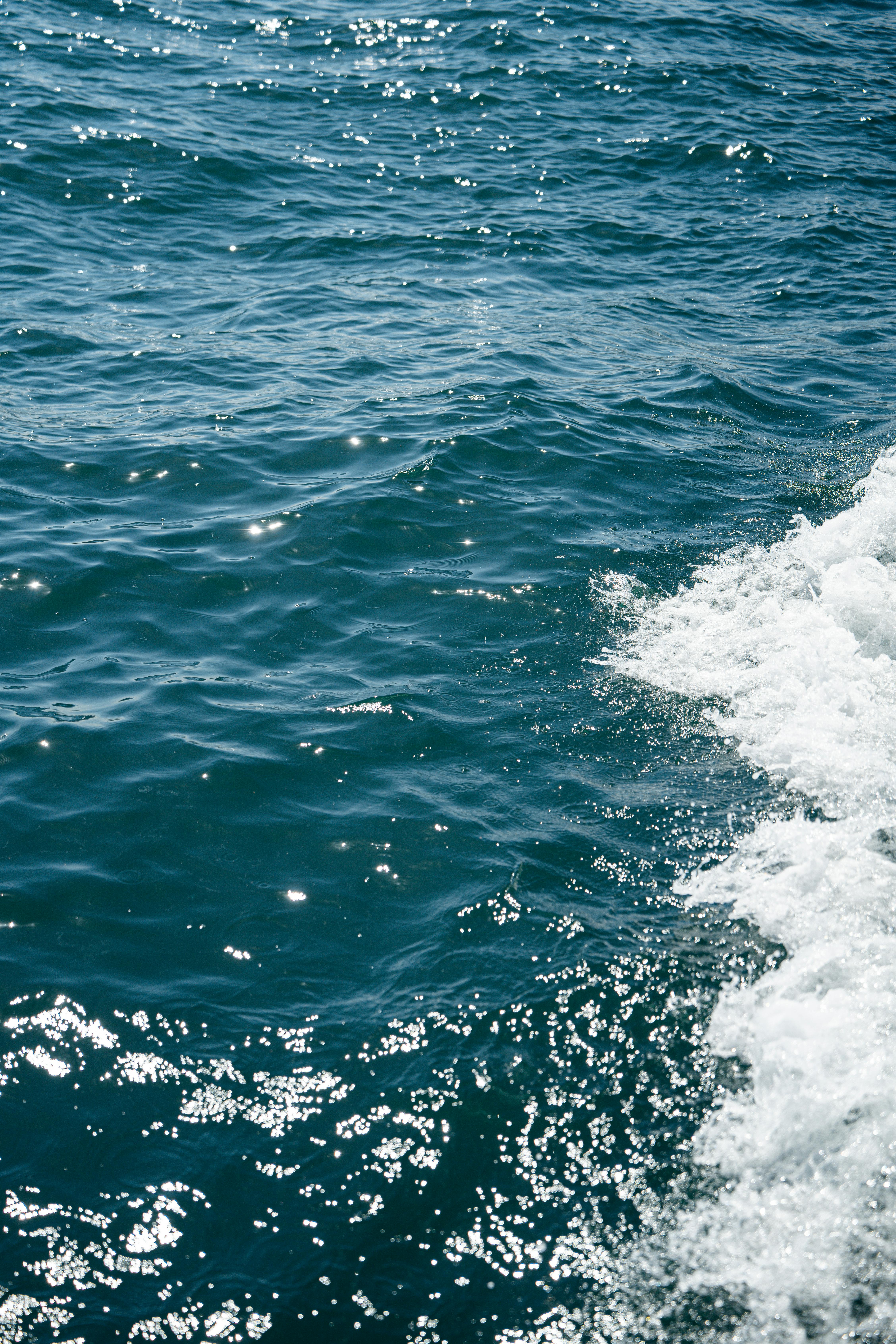 Waves on Shiny Ocean Water · Free Stock Photo