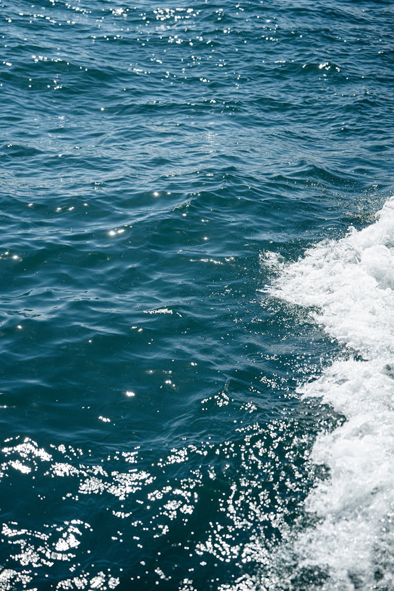 Seismic Waves Photos, Download The BEST Free Seismic Waves Stock Photos ...