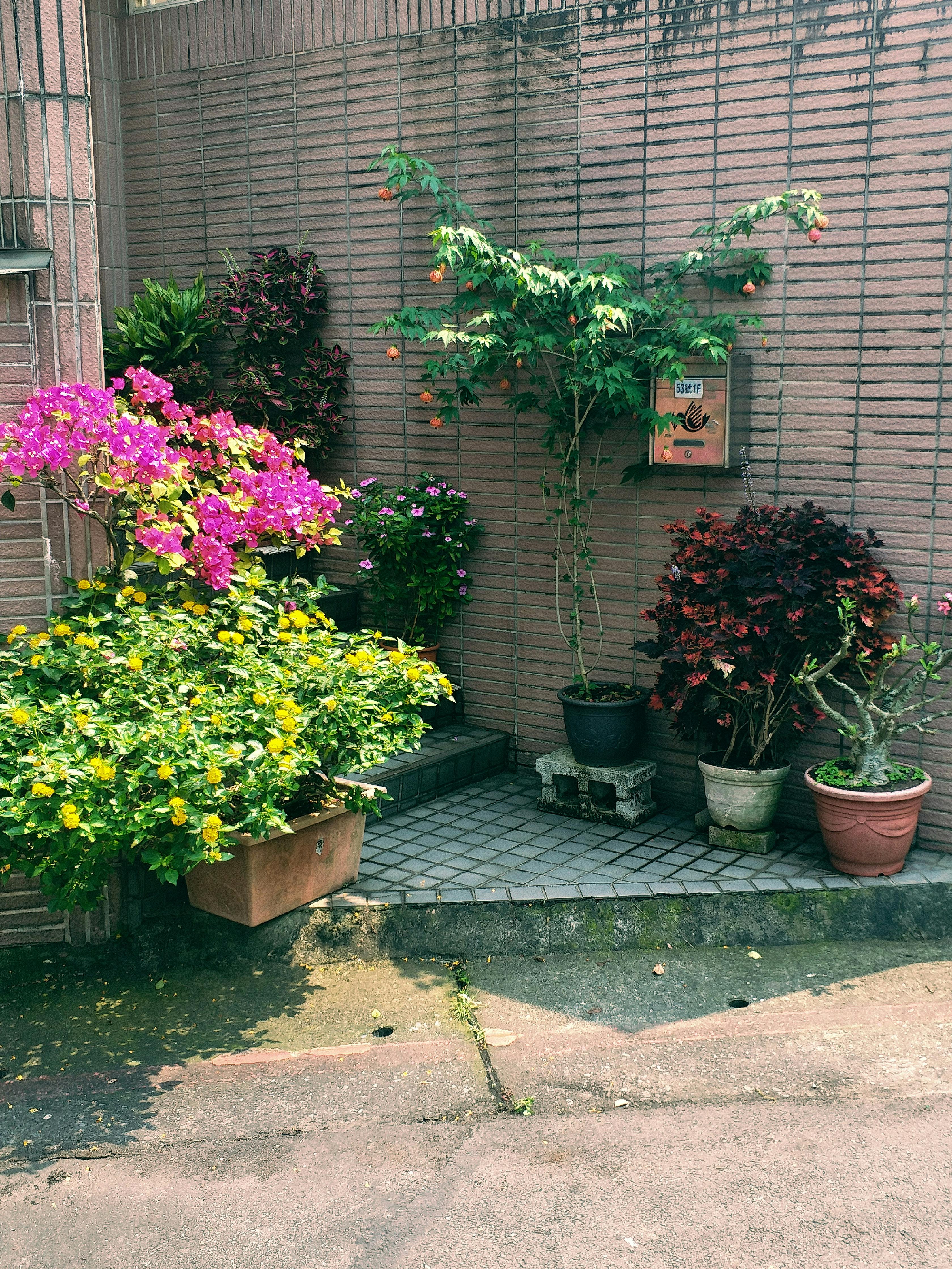 Plants in Pots in the Entrance · Free Stock Photo