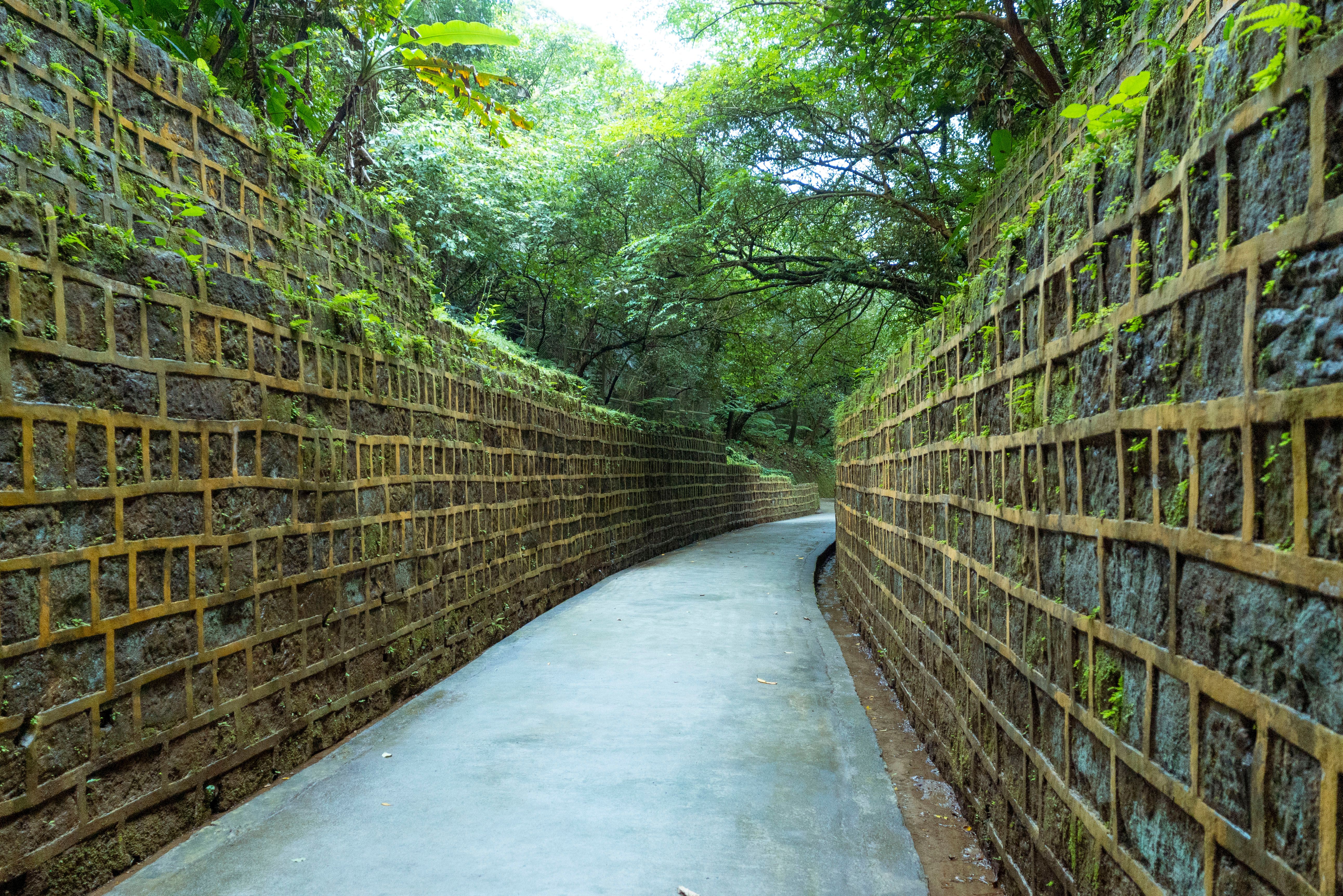 A long walkway with brick walls and trees · Free Stock Photo