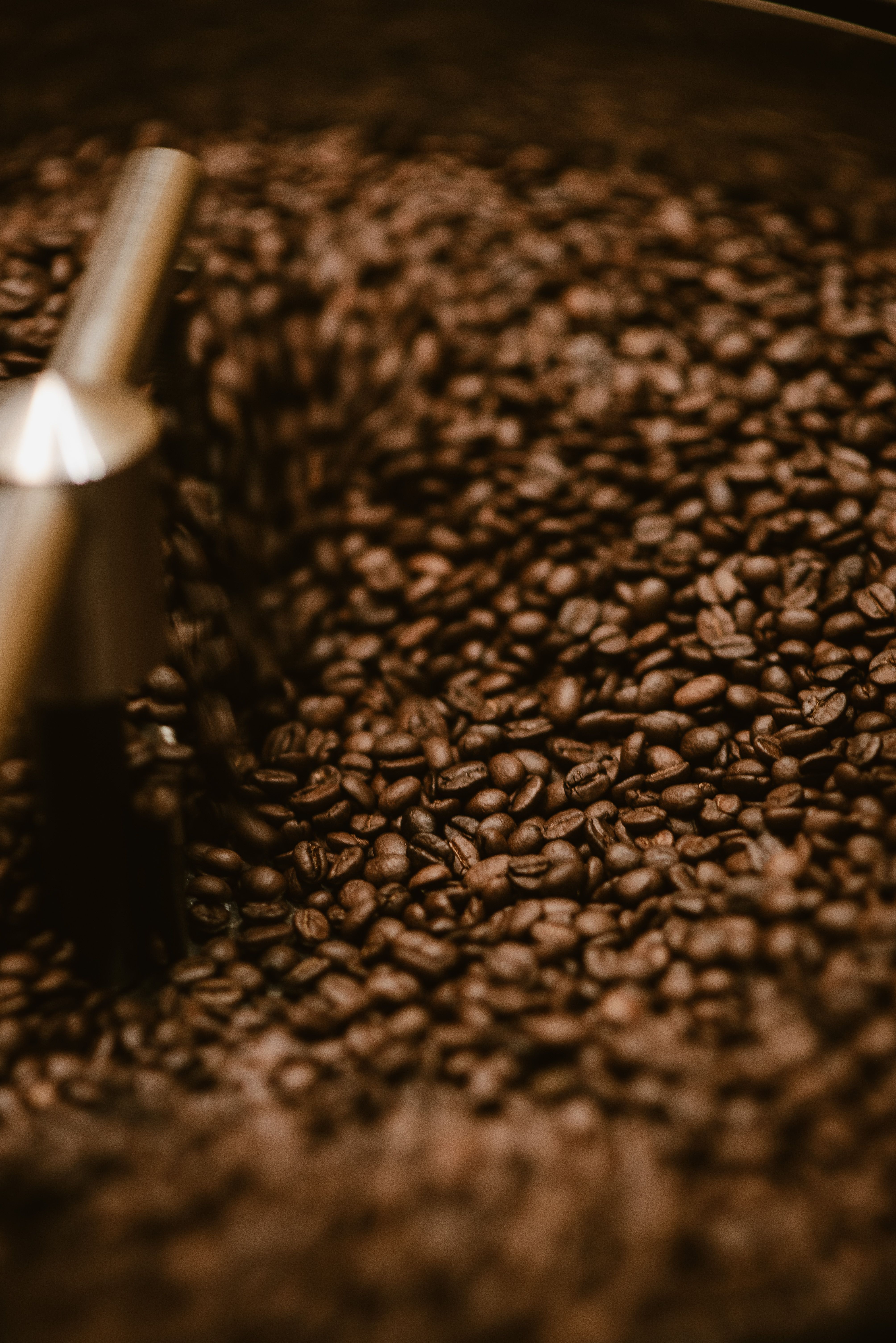 Roasting Coffee Beans · Free Stock Photo