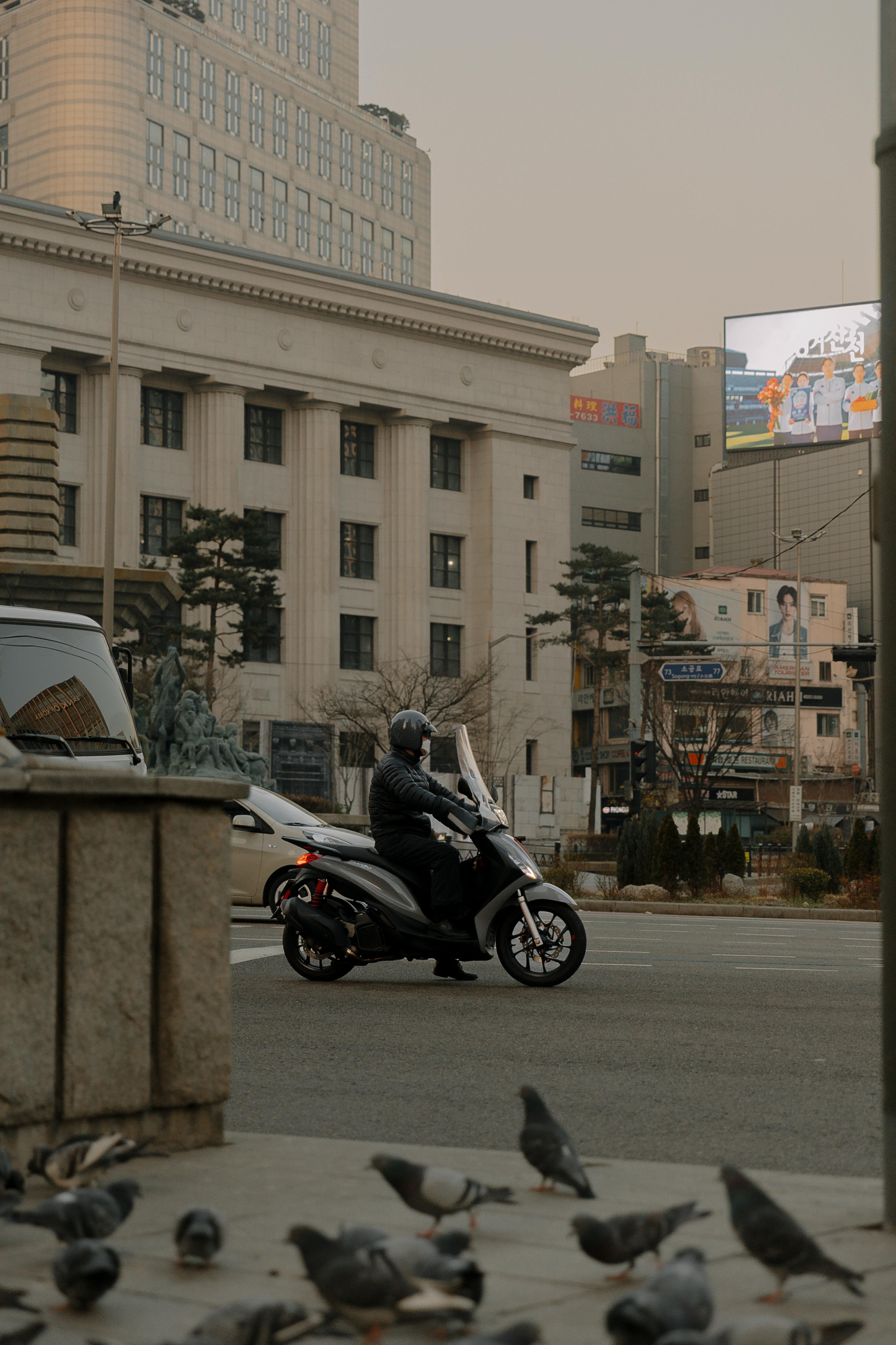 View of Pigeons on the Sidewalk and a Man on a Motor Scooter on a ...