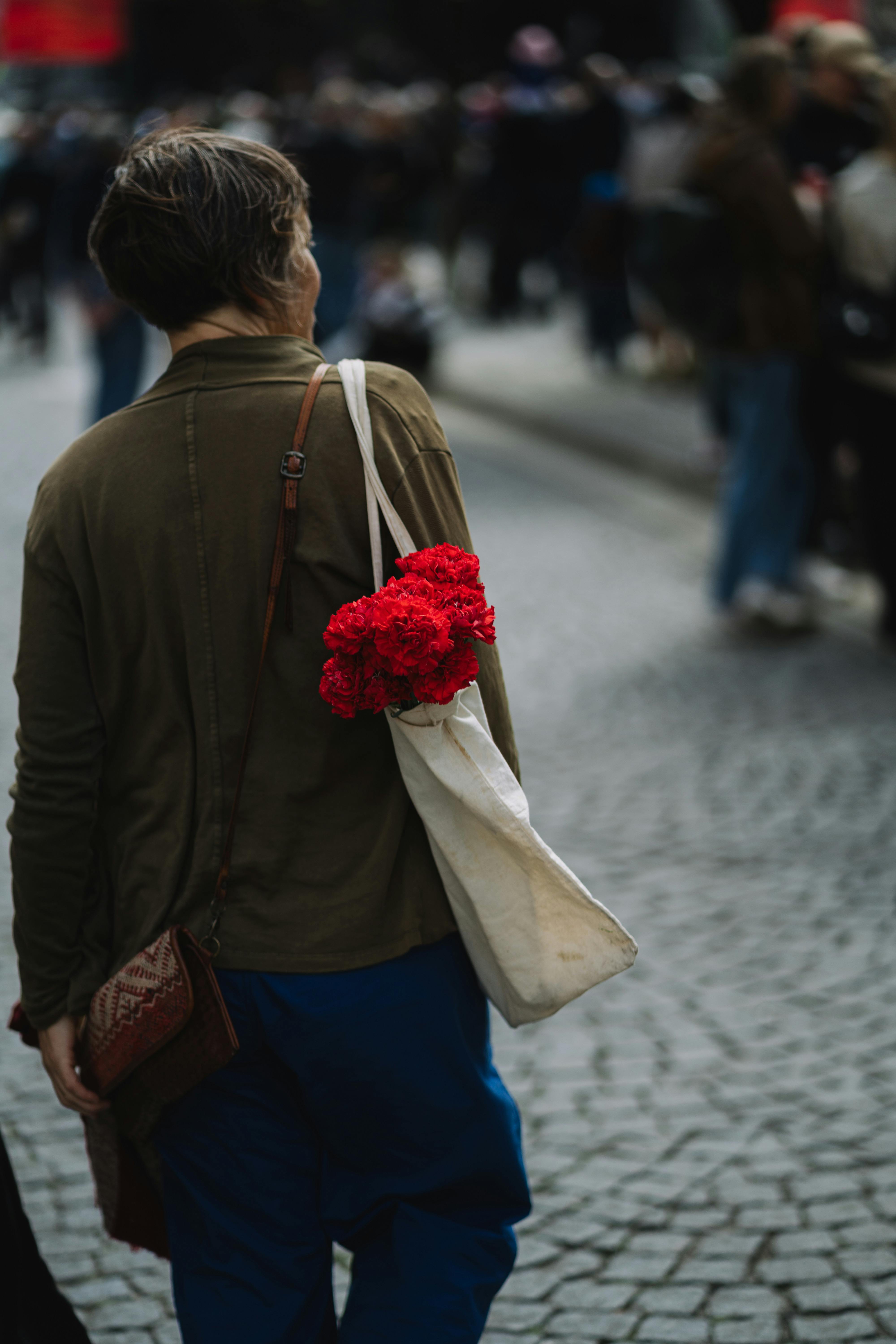 Rose Secche Photos, Download The BEST Free Rose Secche Stock Photos ...