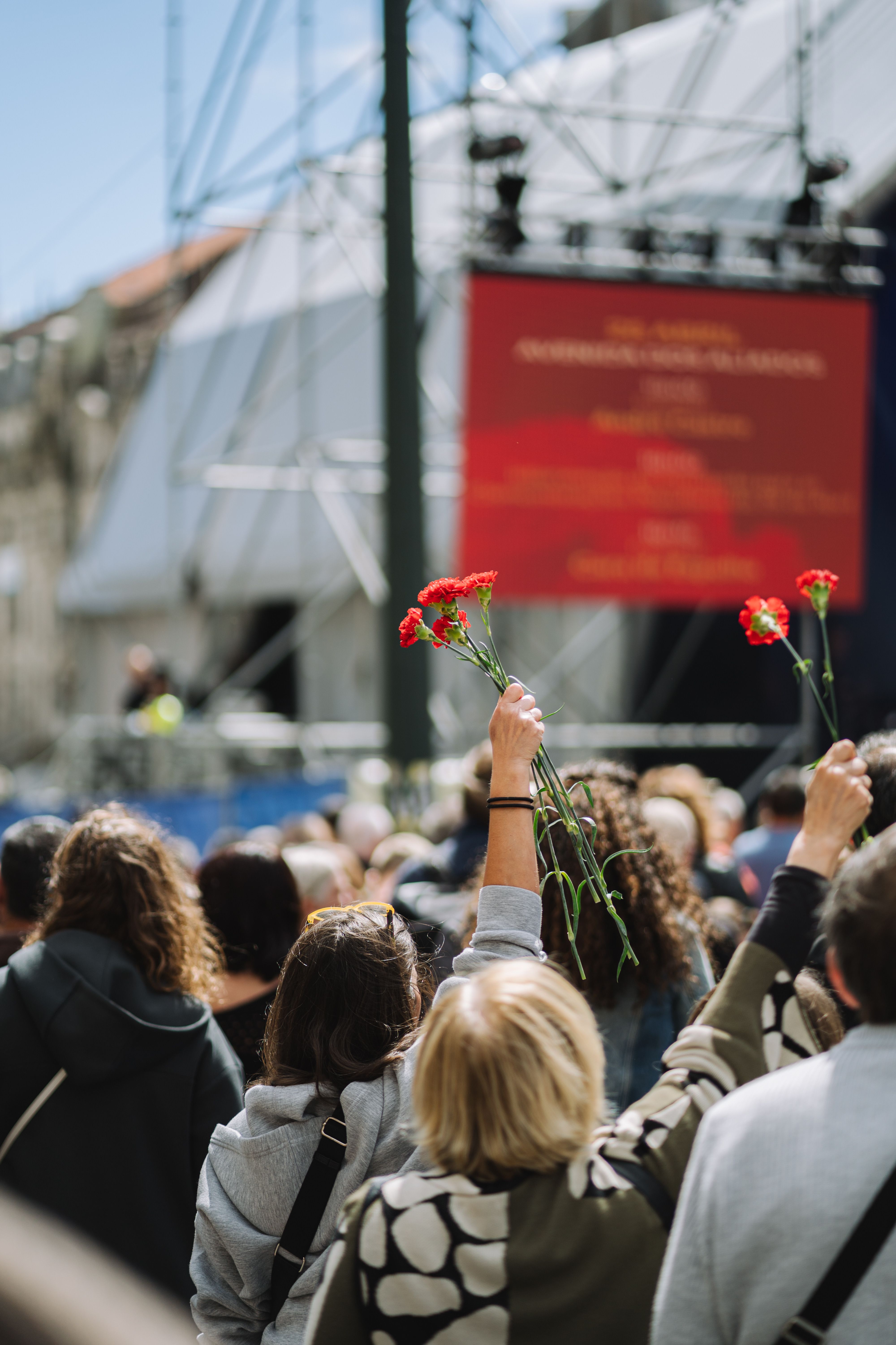 Crowd Holding Flowers On a Concert · Free Stock Photo