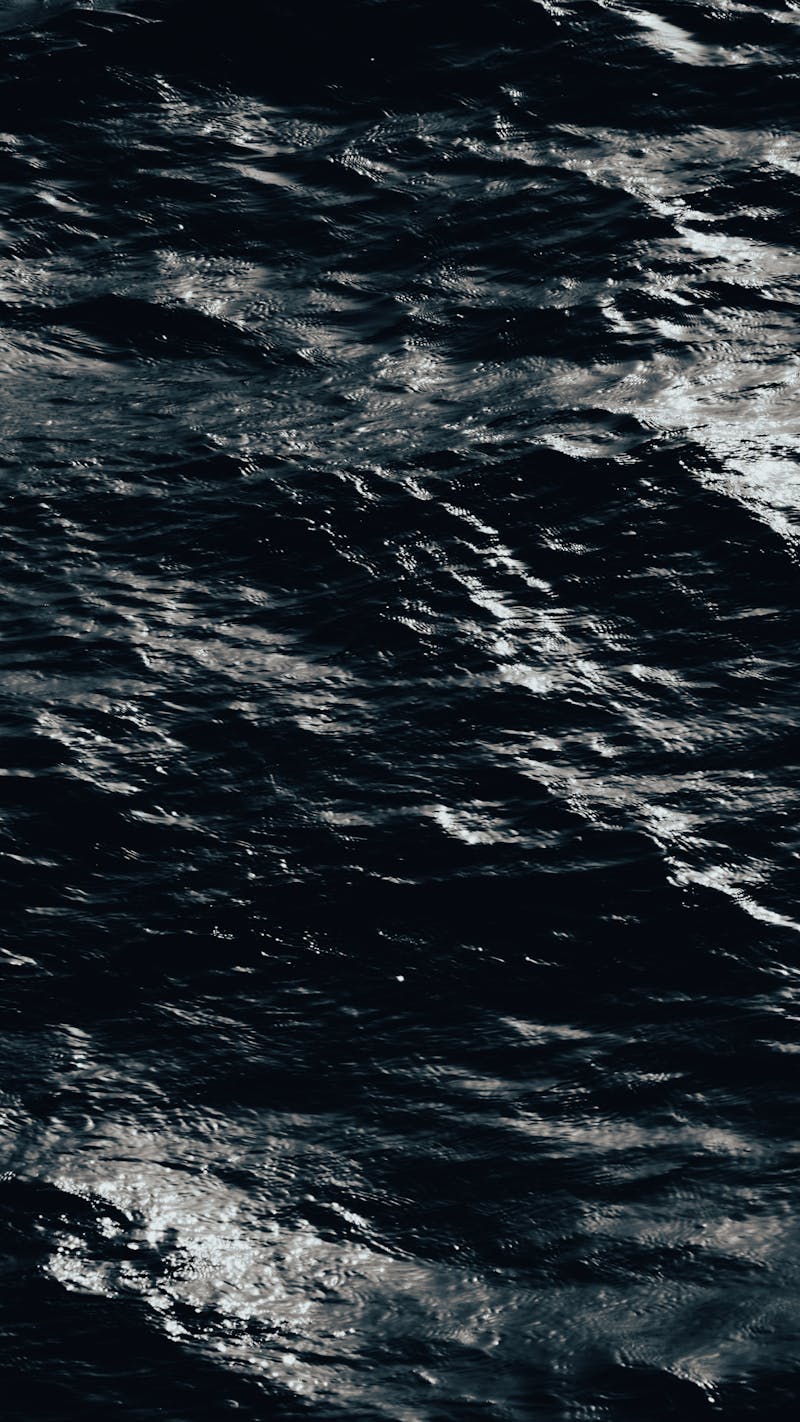 Dark Water Photos, Download The BEST Free Dark Water Stock Photos & HD ...