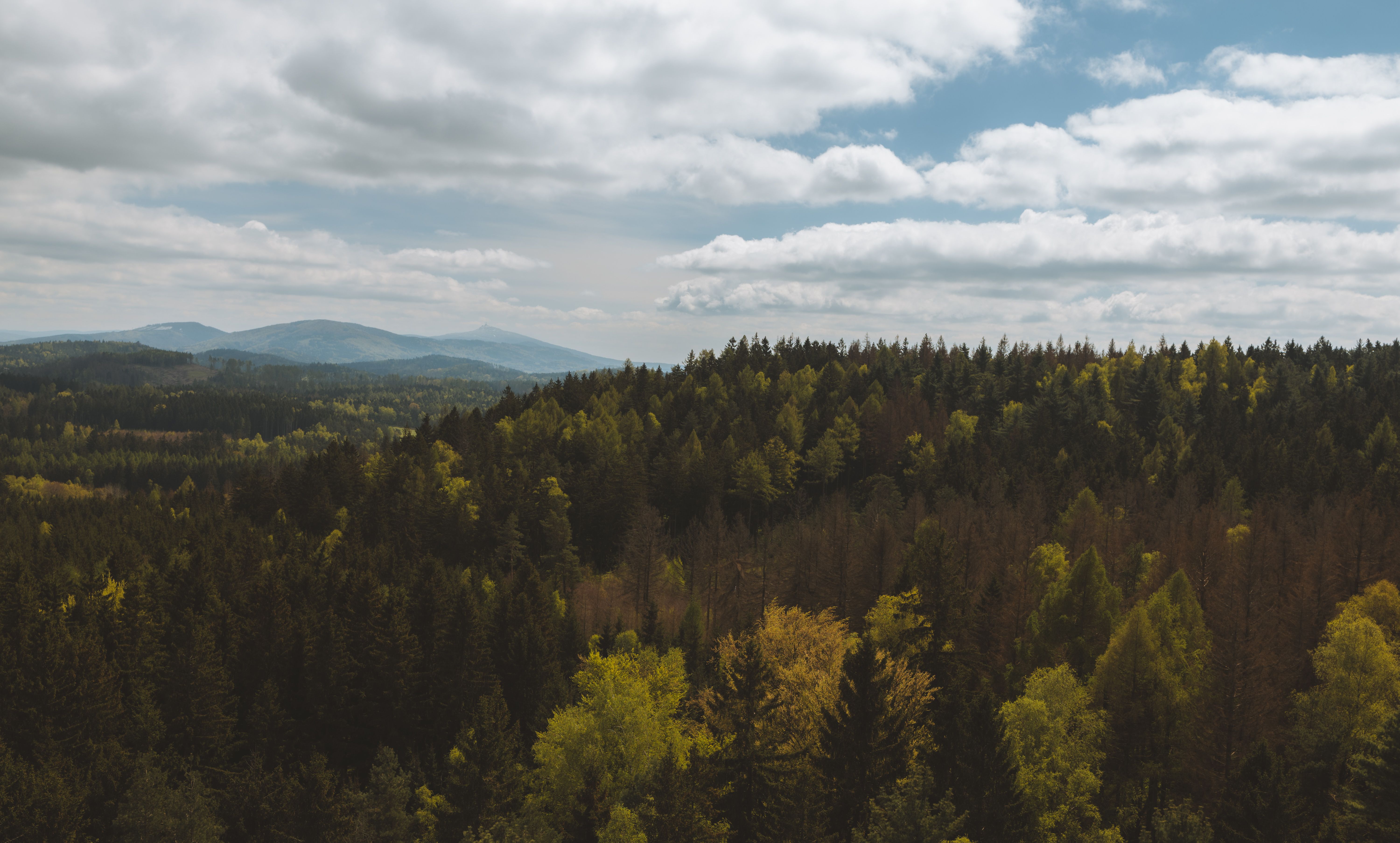 Rolling Forested Landscape · Free Stock Photo
