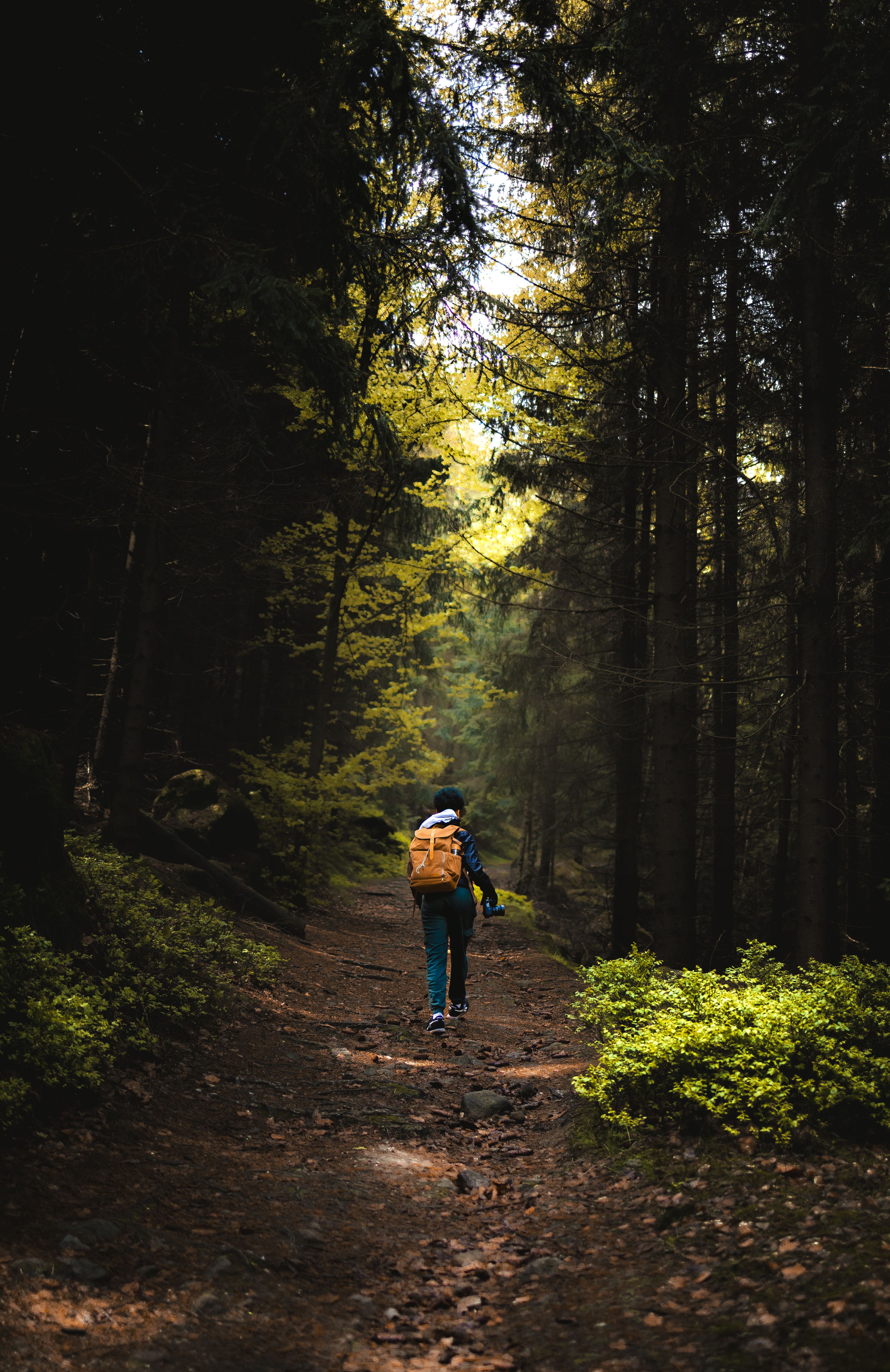 Person Walking On Path · Free Stock Photo