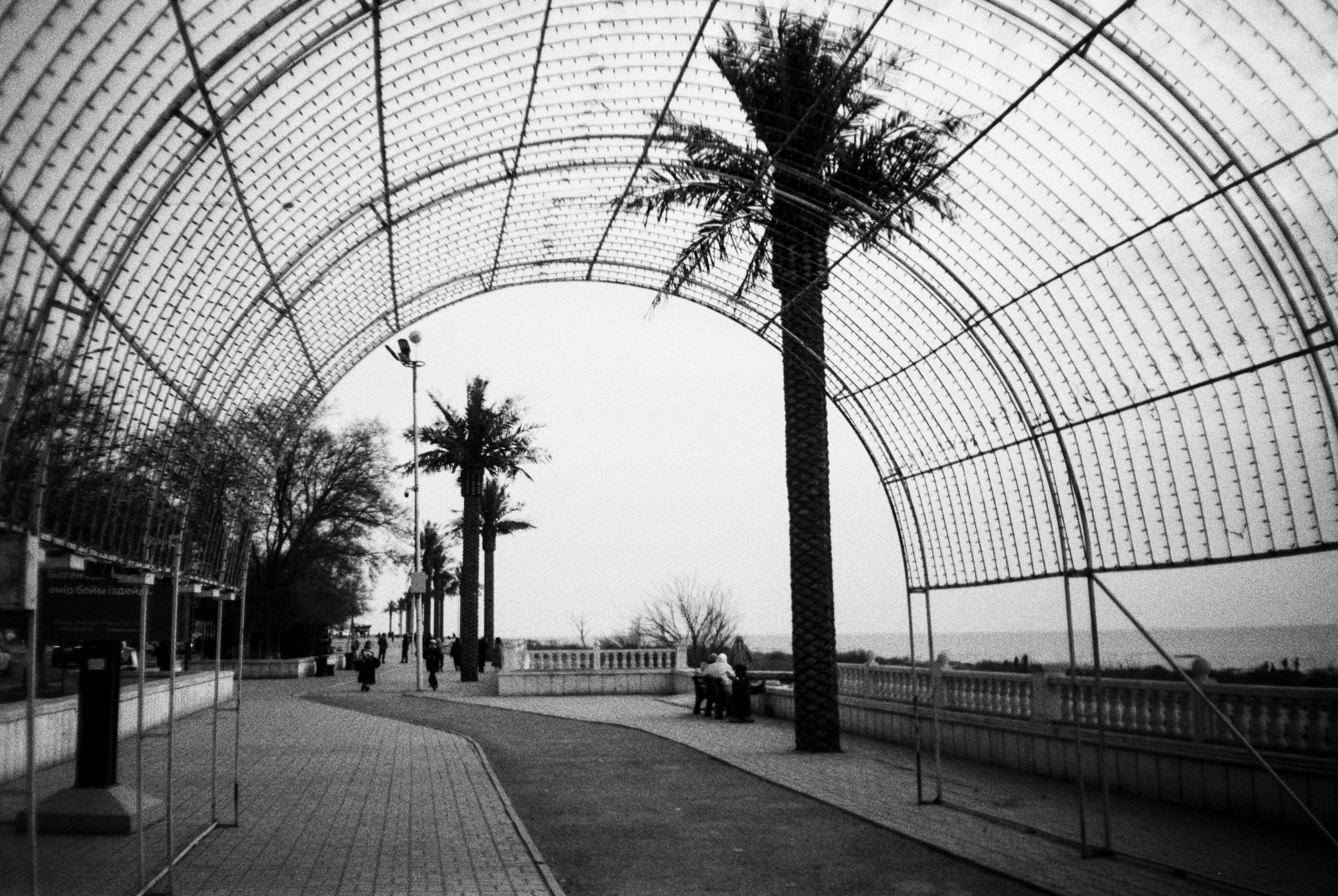 Overhead Cage Photos, Download The BEST Free Overhead Cage Stock Photos ...