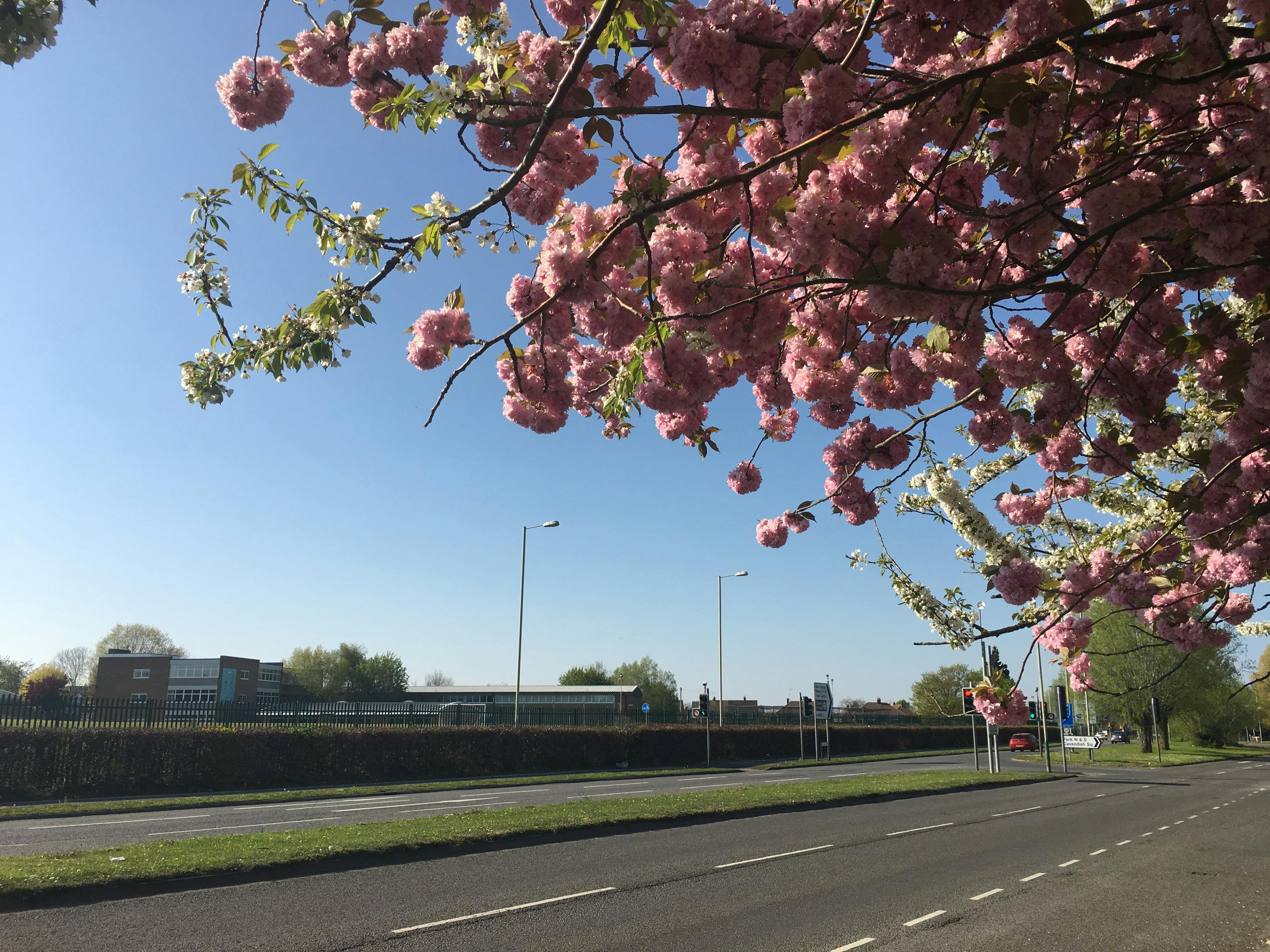 Display photography 7 Photos & Videos Collected by Richard Hewitson